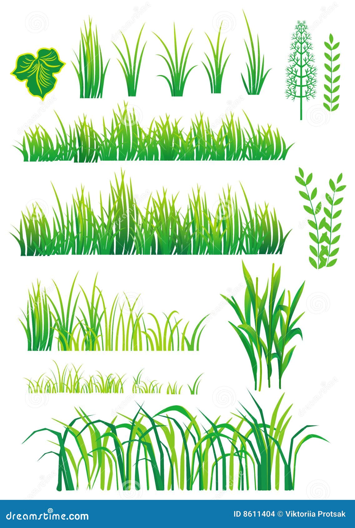 Green elements for design stock vector. Illustration of nature - 8611404
