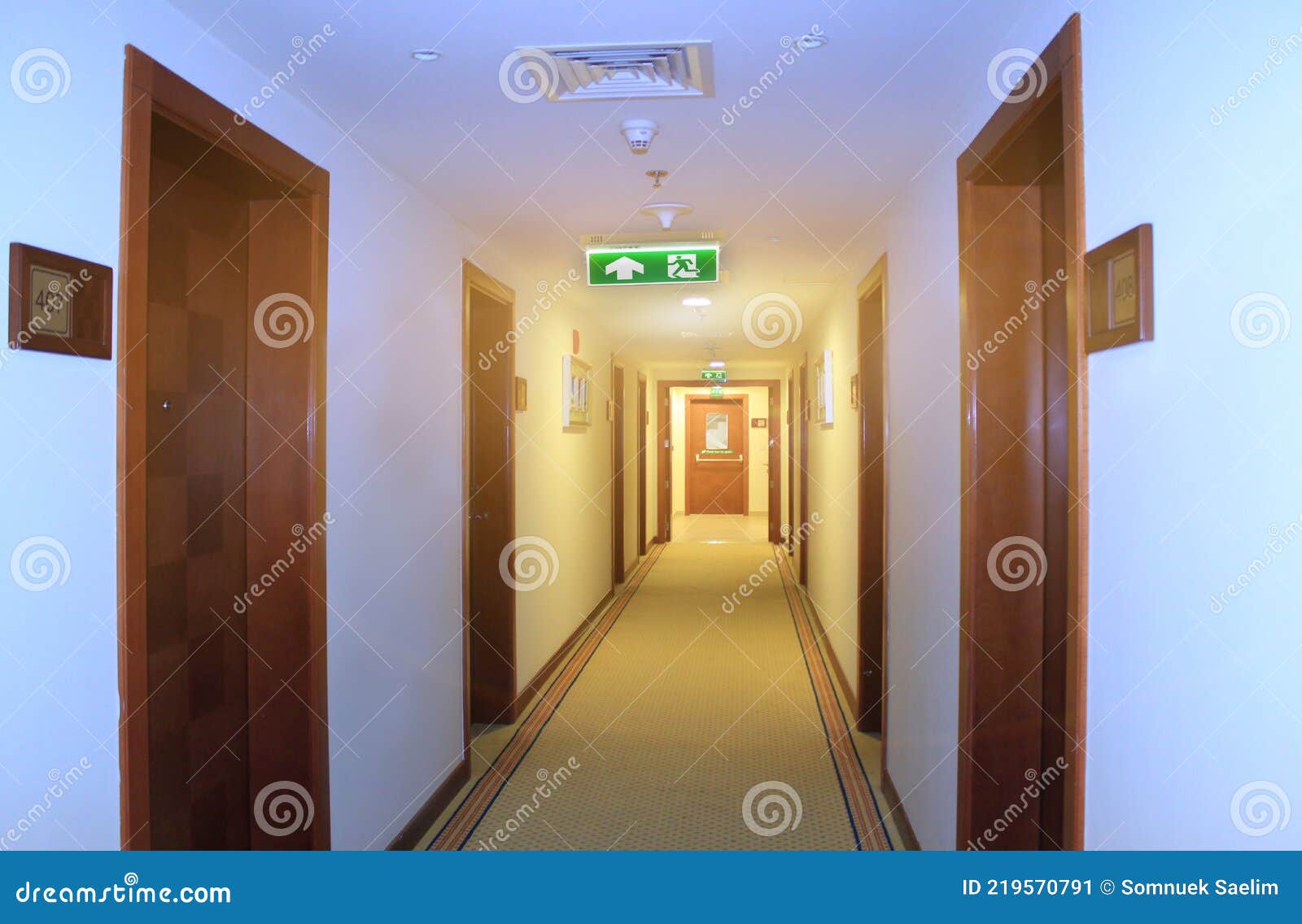 Green Emergency Exit Sign in Hotel Showing the Way To Escape Stock ...