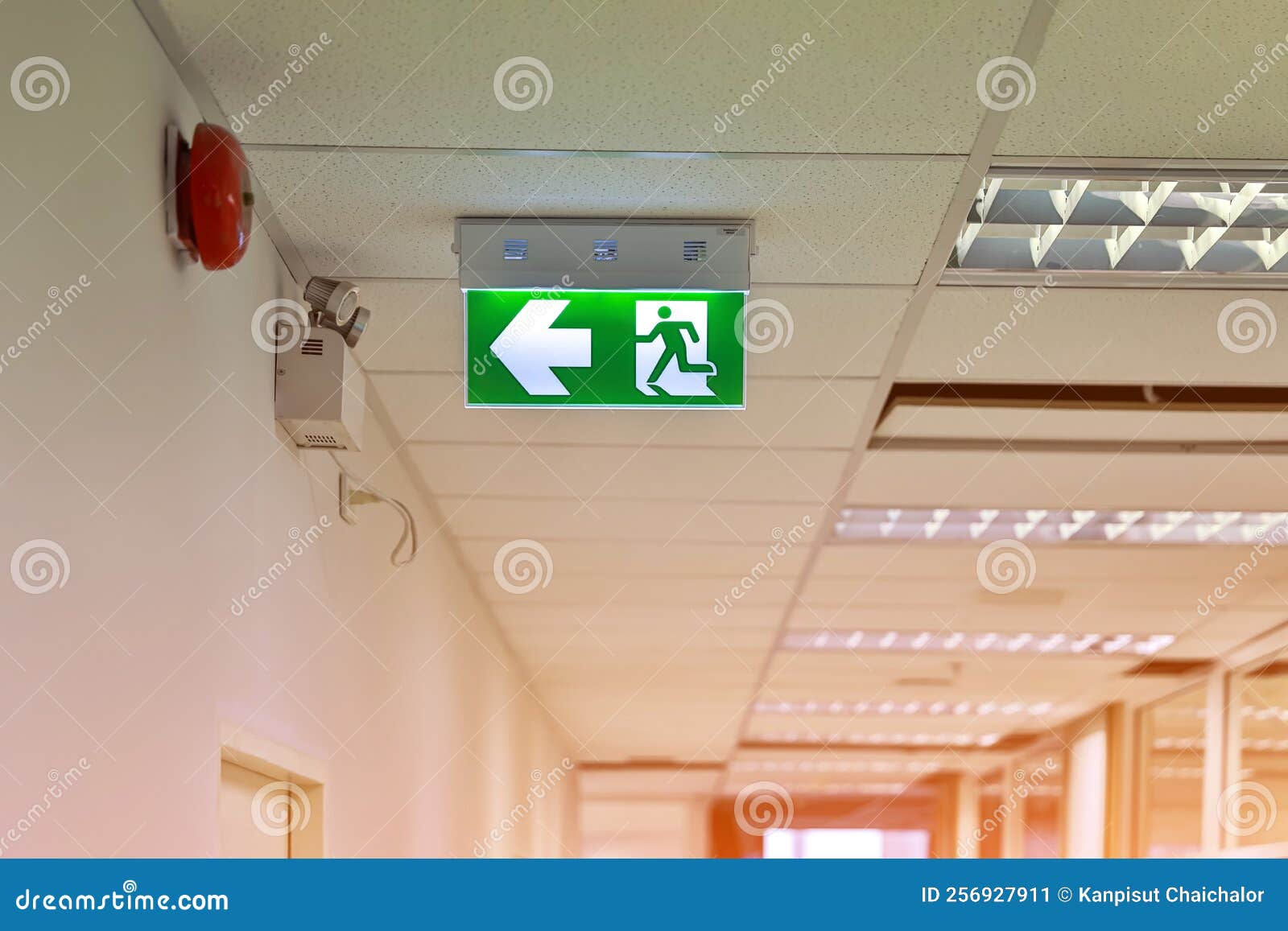Green Emergency Exit Sign Showing the Way To Escape. Fire Exit in the ...