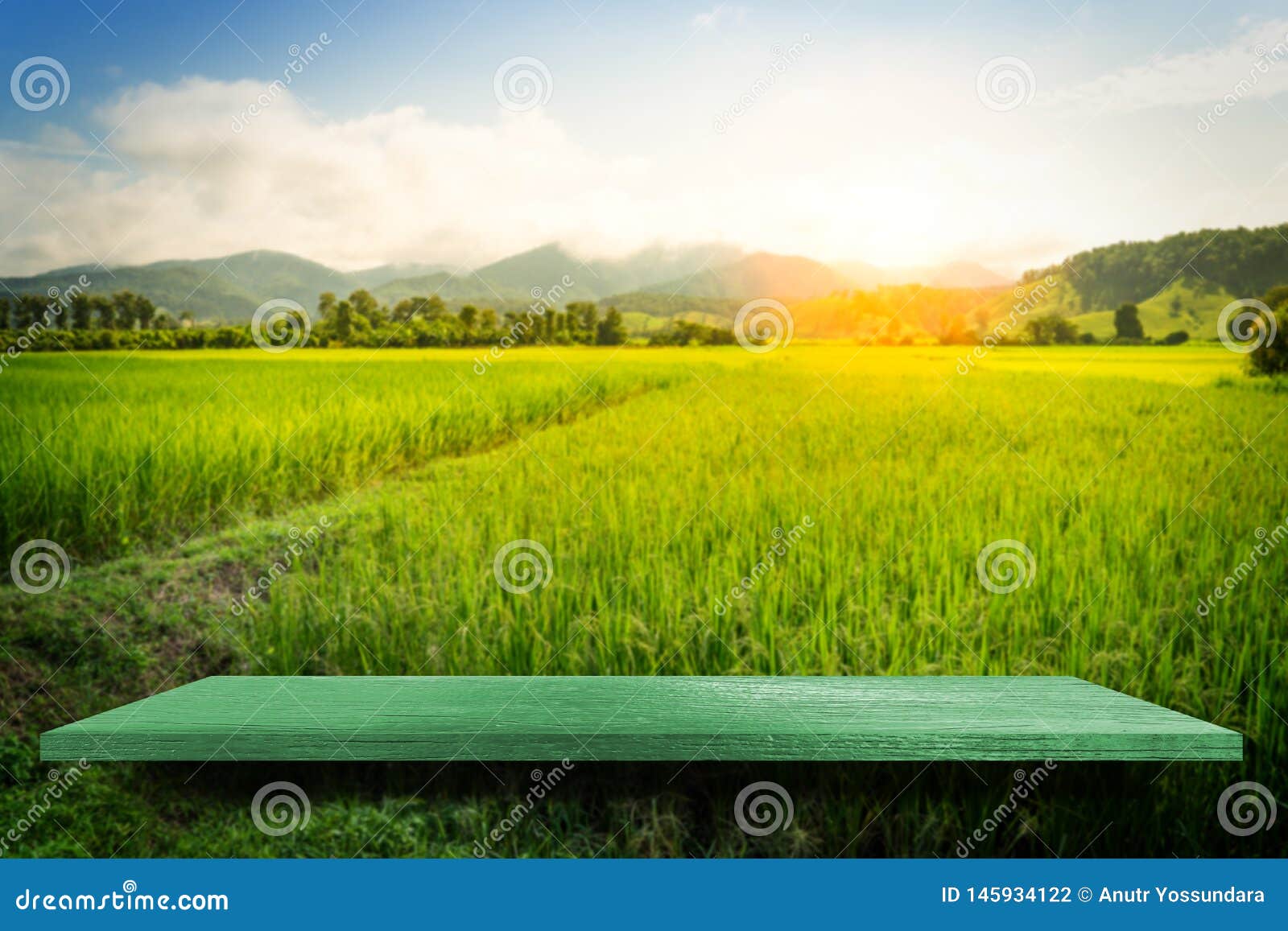 Green Empty Shelf Counter Farm Paddy Nature Background Stock Photo ...