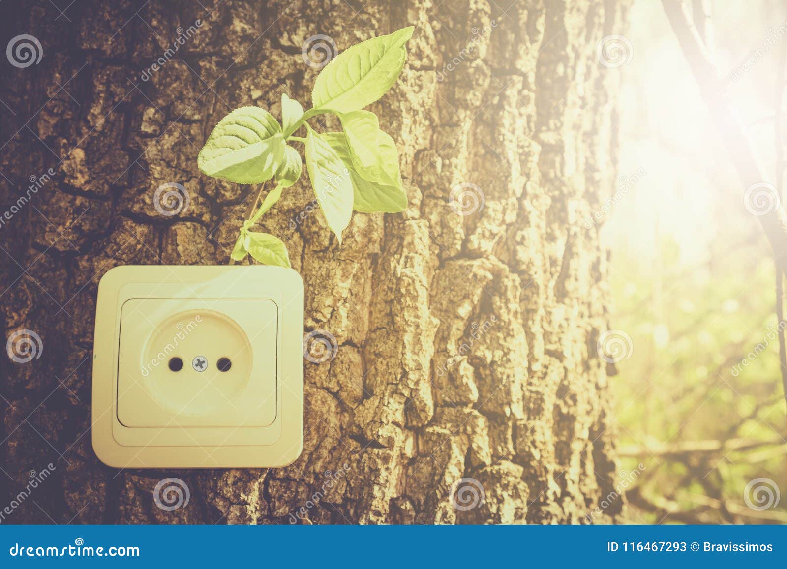 Green Energy Concept, Power Socket in Tree Trunk Stock Image - Image of ...