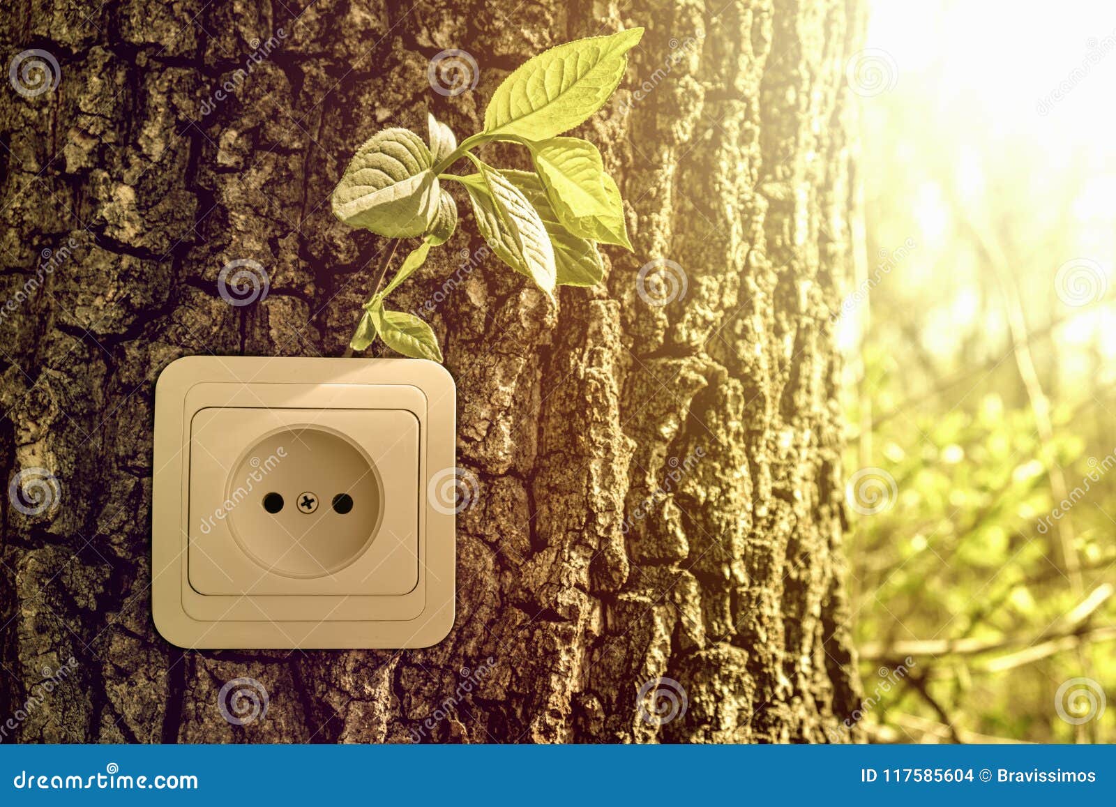 Green Energy Concept, Power Socket in Tree Trunk Stock Photo - Image of ...