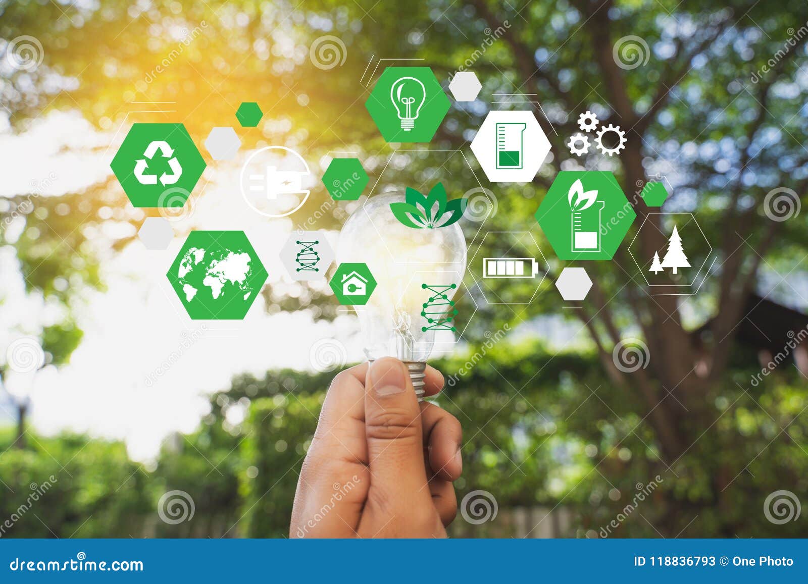 Green Energy Concept Energy Sources Sustainable Ecology Elements Stock ...