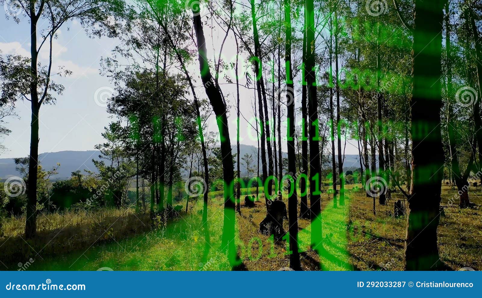 Green Energy Effect for Climate Control Due Reforestation. Stock Image ...