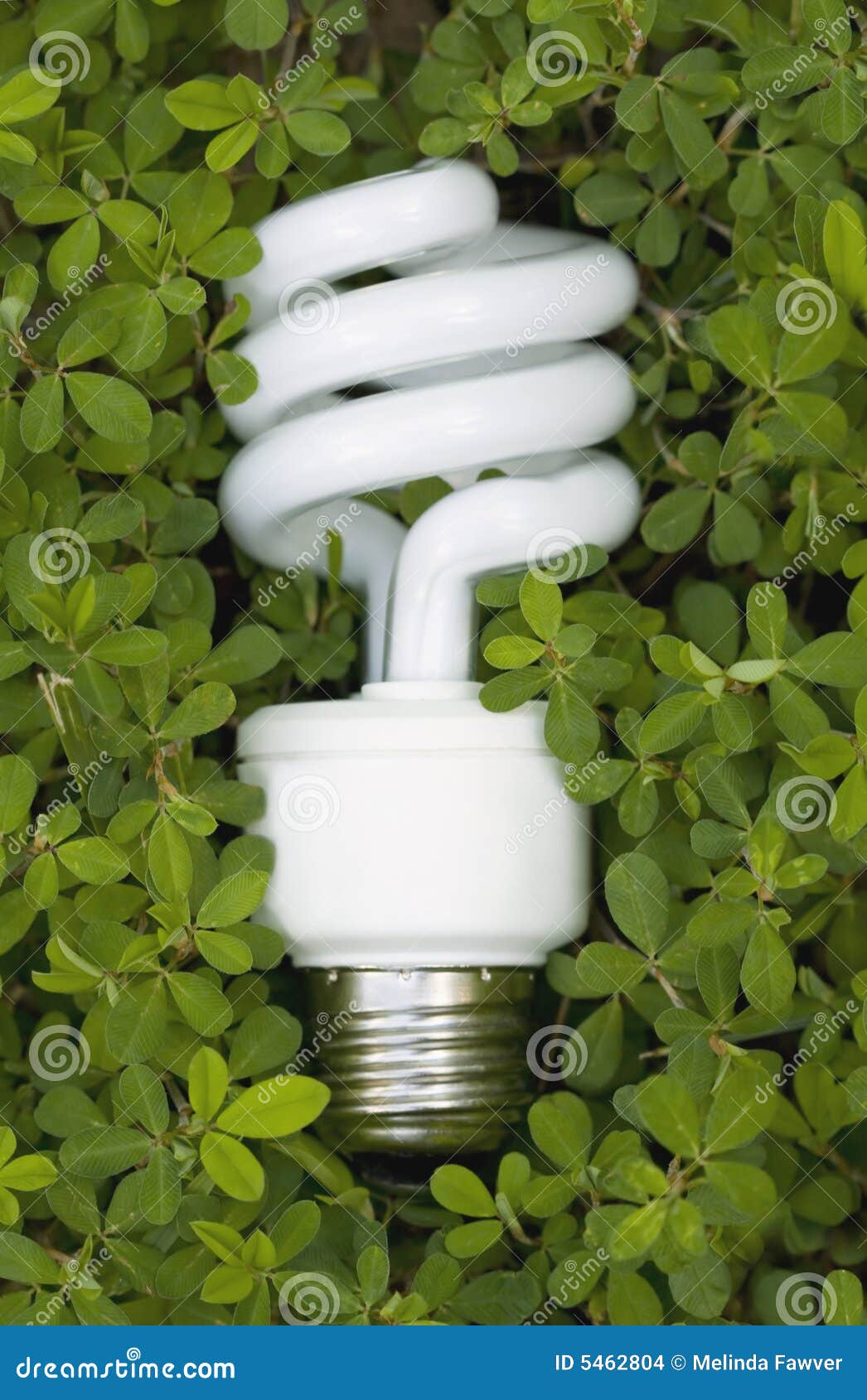 Green Energy Saving Light Bulb Stock Photo - Image of alternative ...