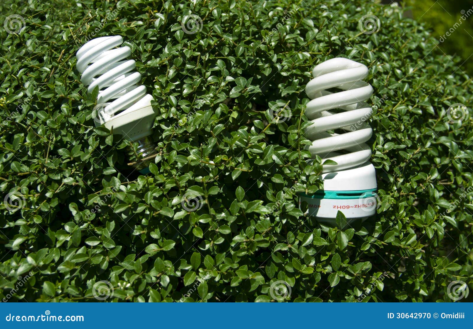 Green Energy and Saving Light Bulb Stock Photo - Image of ecofriendly ...