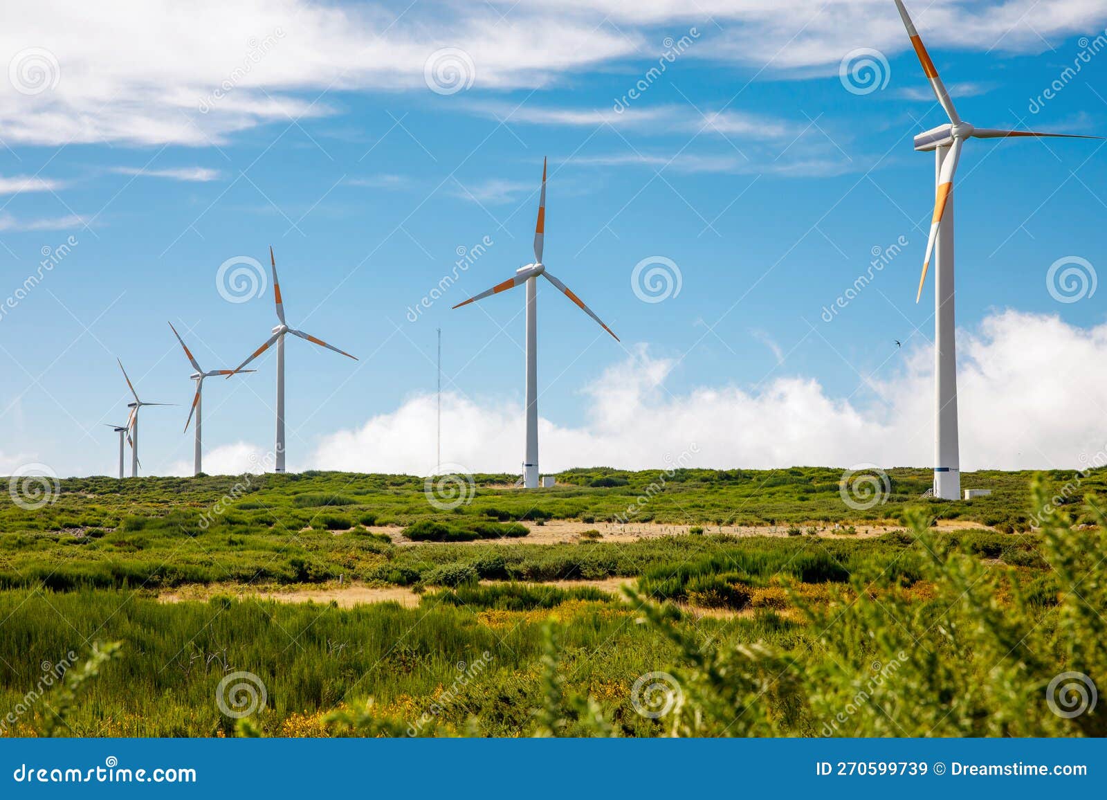 Green Energy - Wind Turbines, Windmill Generators. Stock Image - Image ...