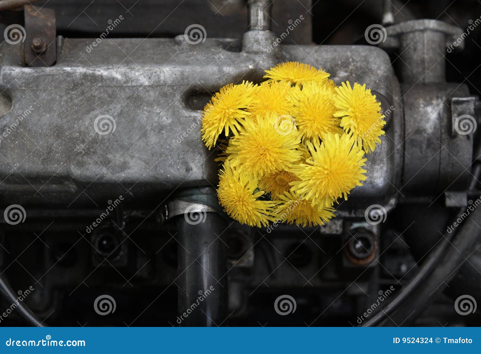 The green engine stock photo. Image of focus, macho, equipment - 9524324