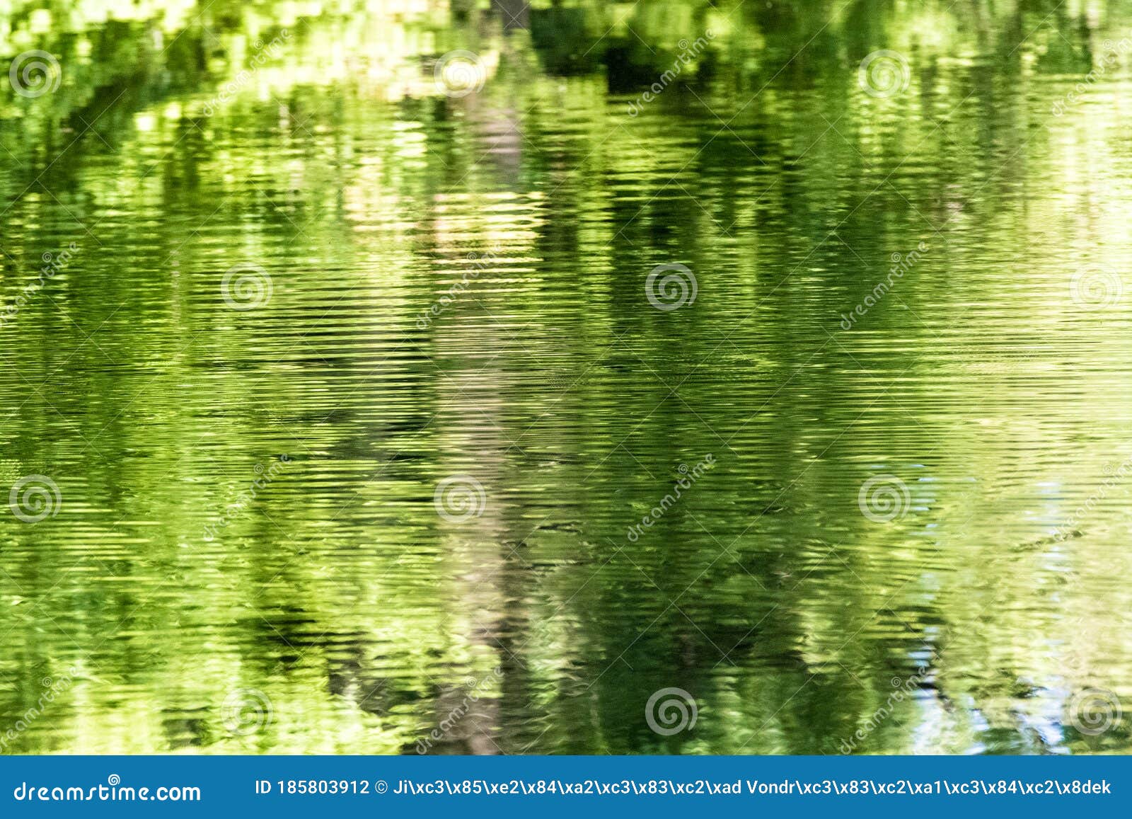 Green Enviroment Abstract Water Reflection Stock Photo - Image of ...