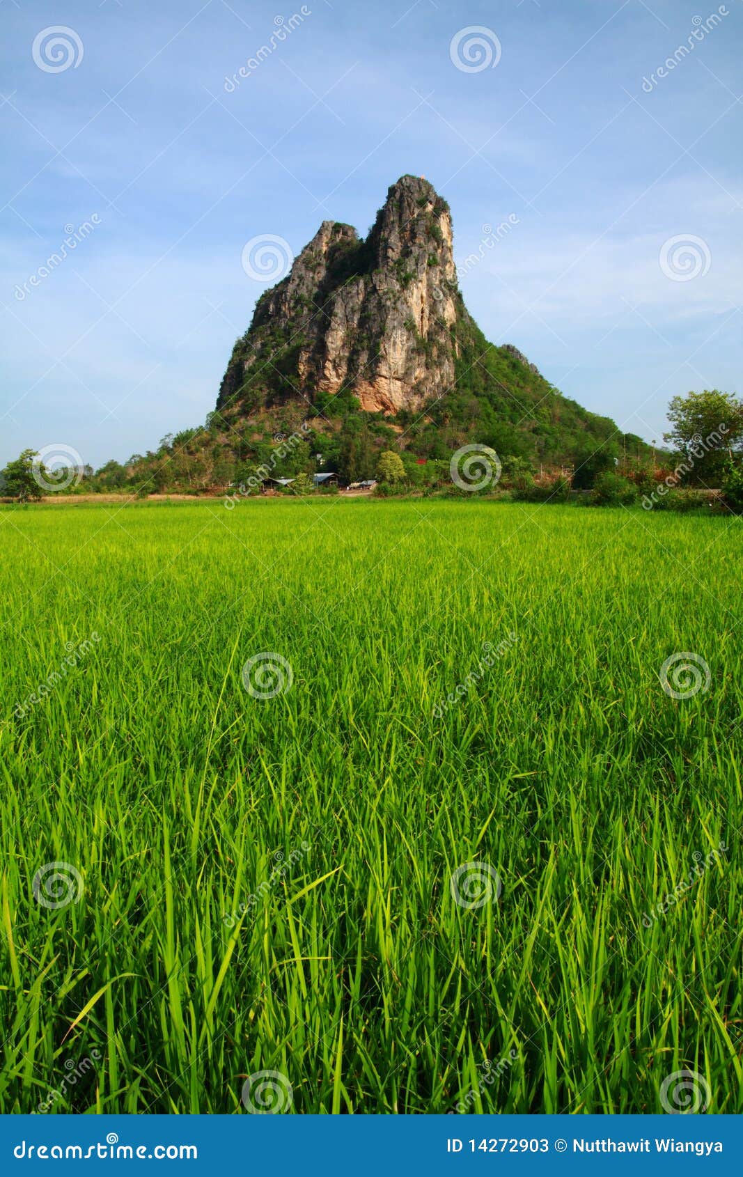 Green Environment Available in Thailand Stock Image - Image of colorful ...