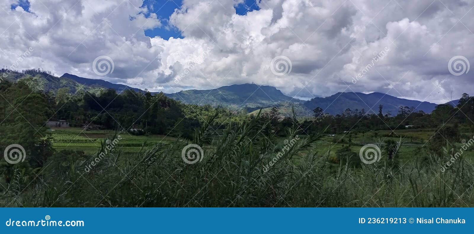 Green Environment and Mountain Range in the Distance Stock Image ...