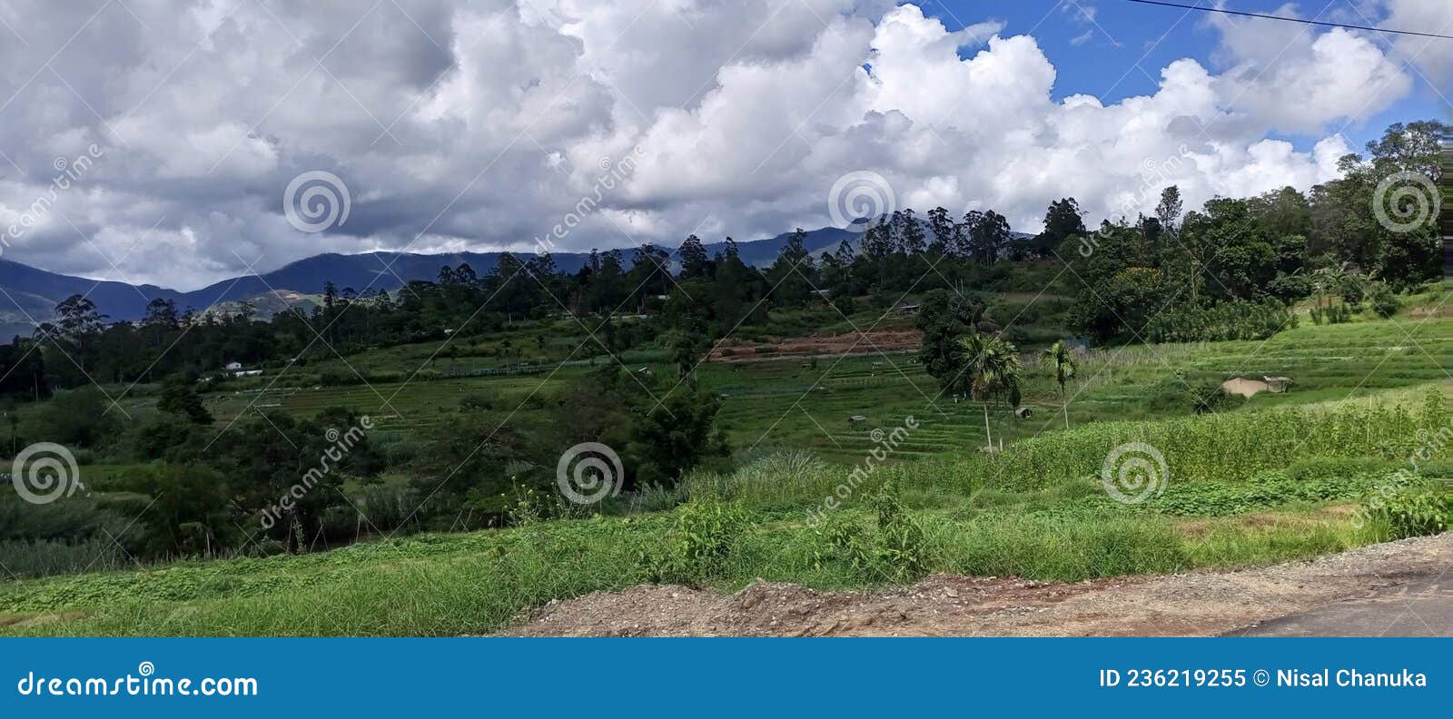 Green Environment and Mountain Range in the Distance Stock Image ...