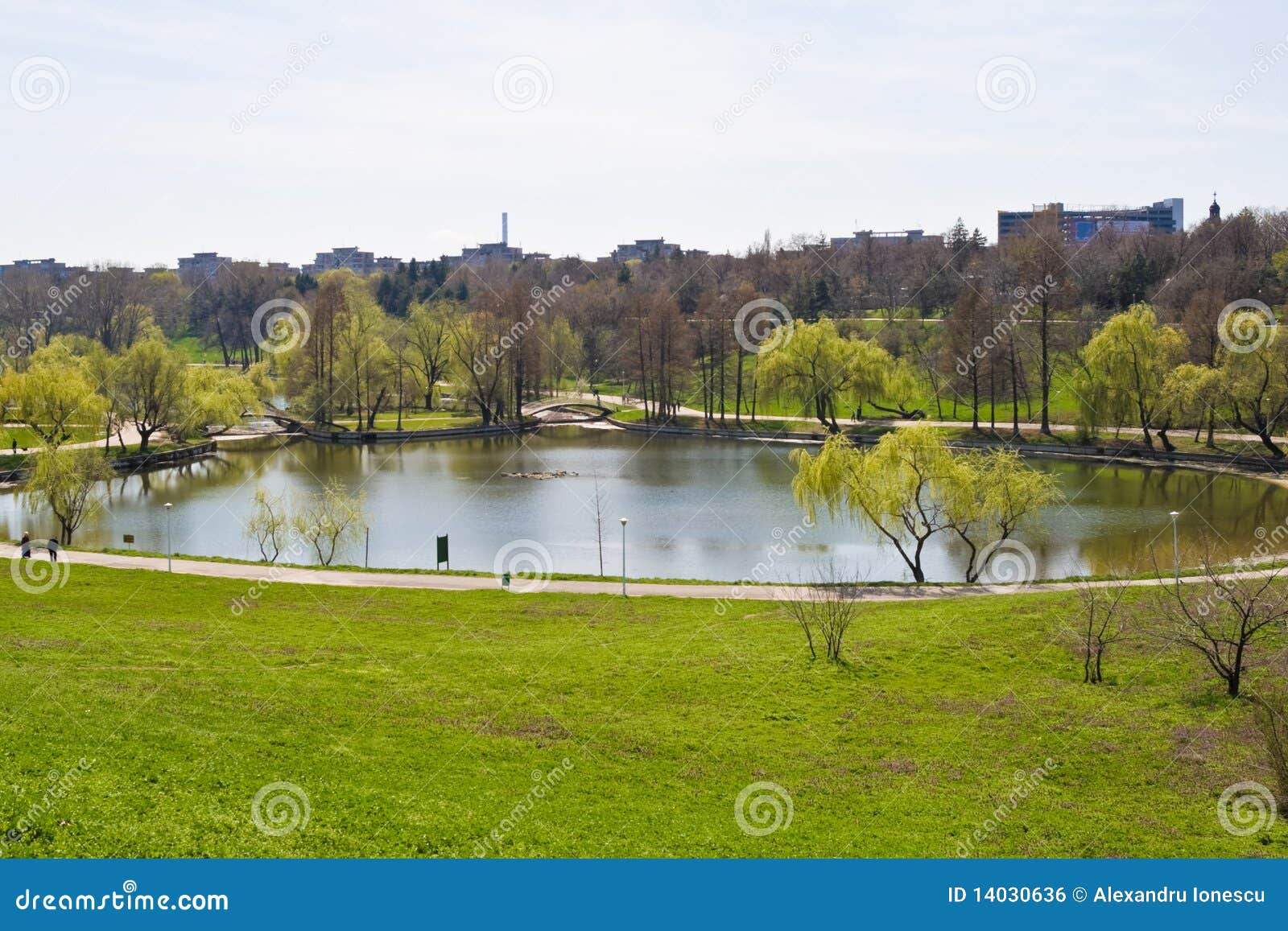 Green Environment in the Tineretului Park Stock Photo - Image of tree ...