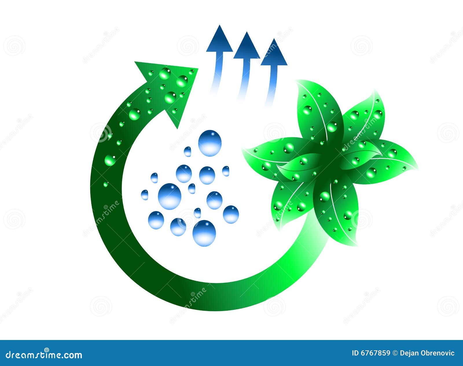 Green Evolution stock vector. Illustration of plant, element - 6767859