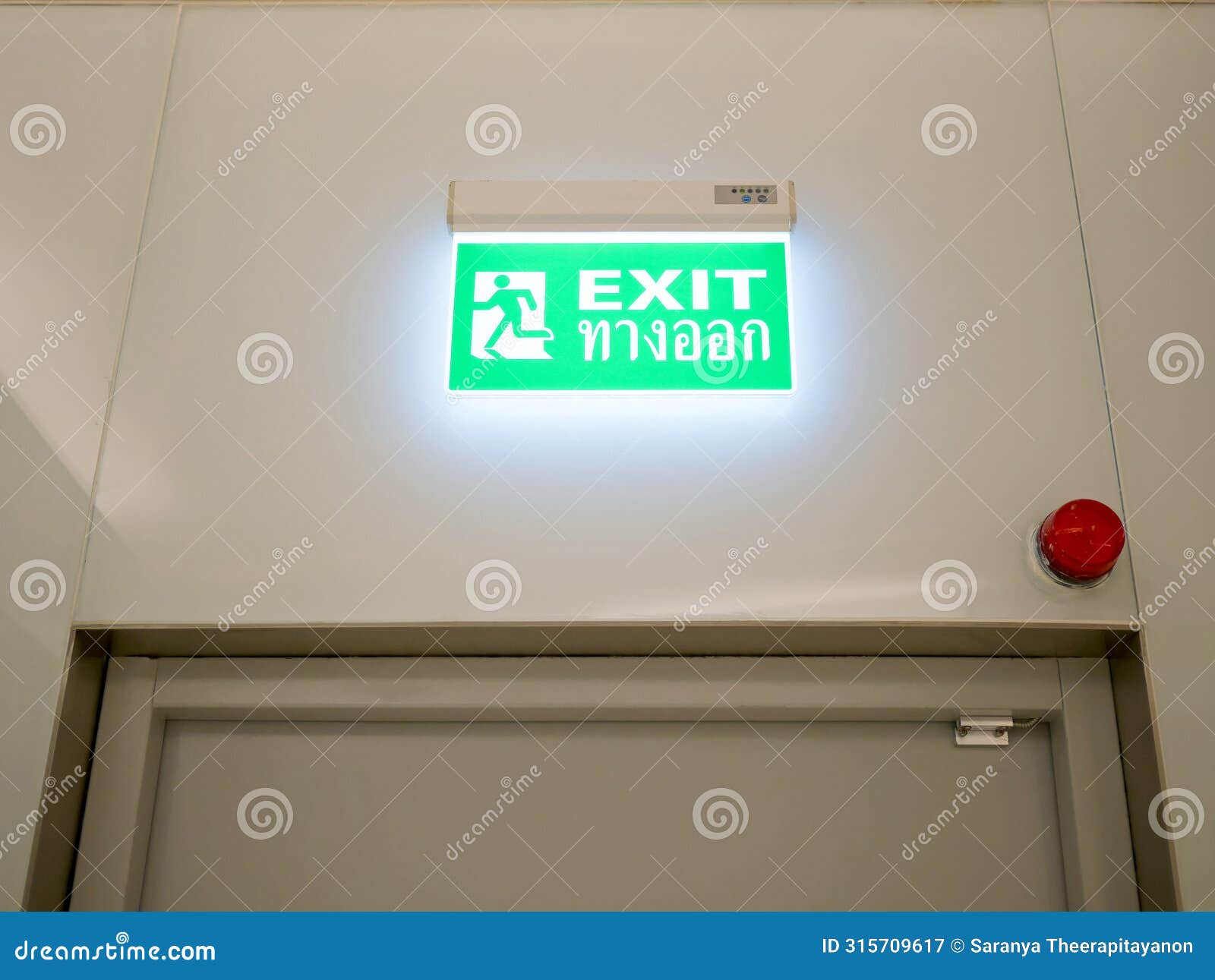 Green exit sign stock image. Image of leave, lighting - 315709617