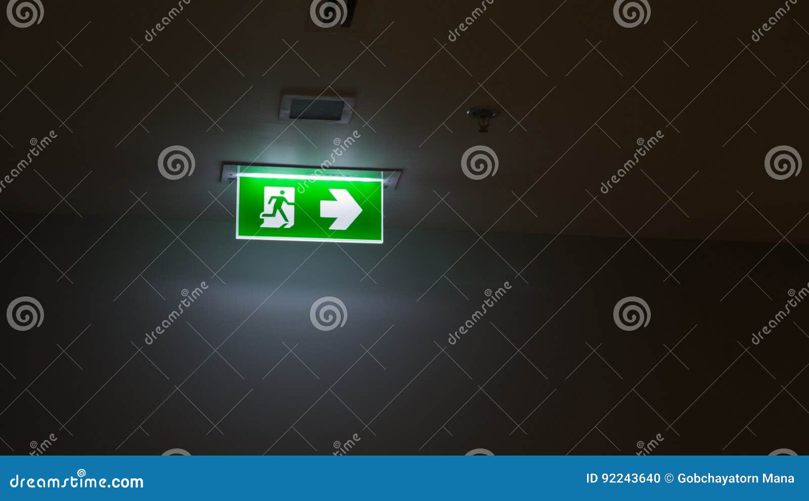Green Exit Sign With Running Person And Green Arrow Shows Guidance ...