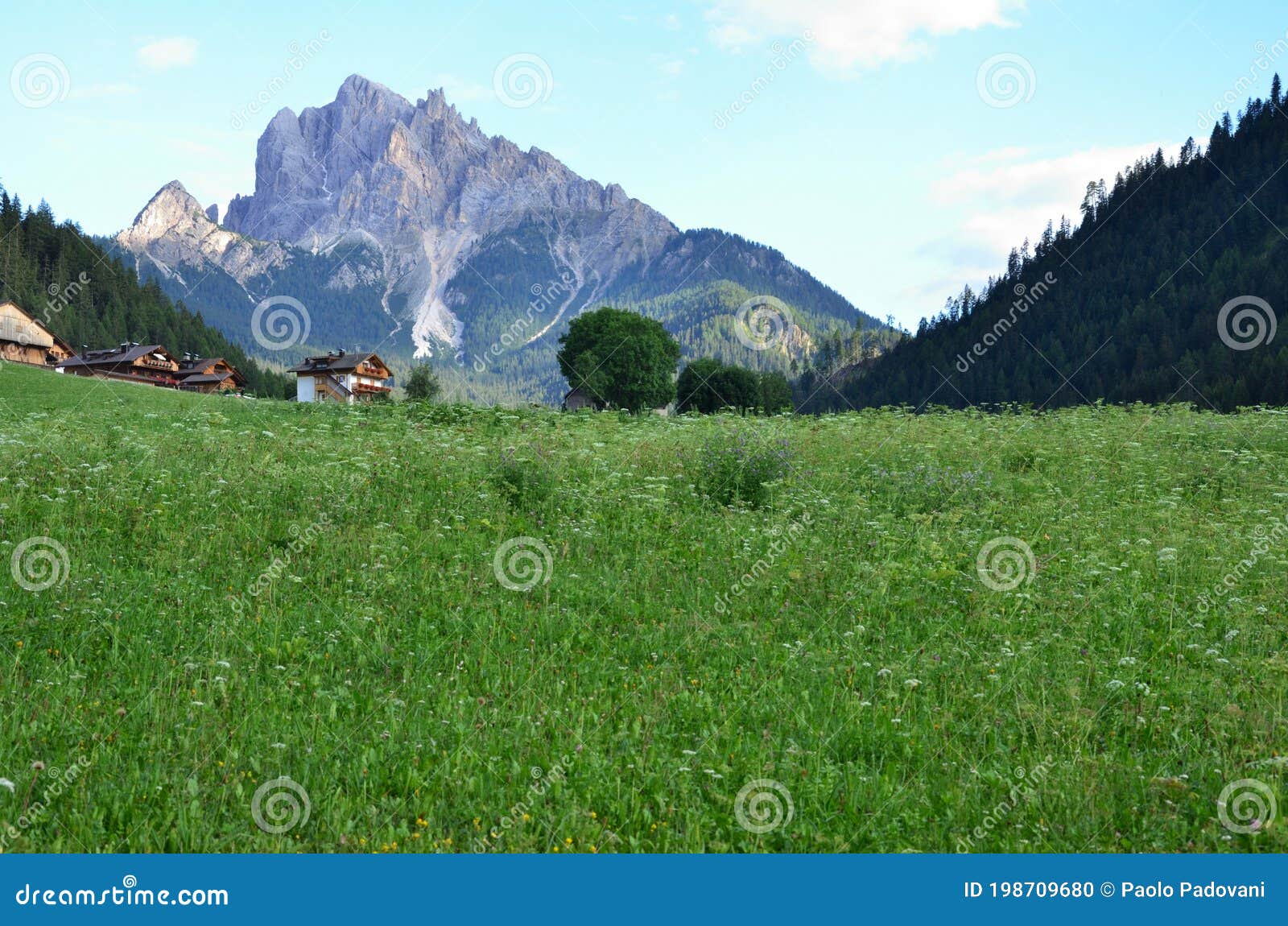 Green expanse stock photo. Image of outdoor, summer - 198709680