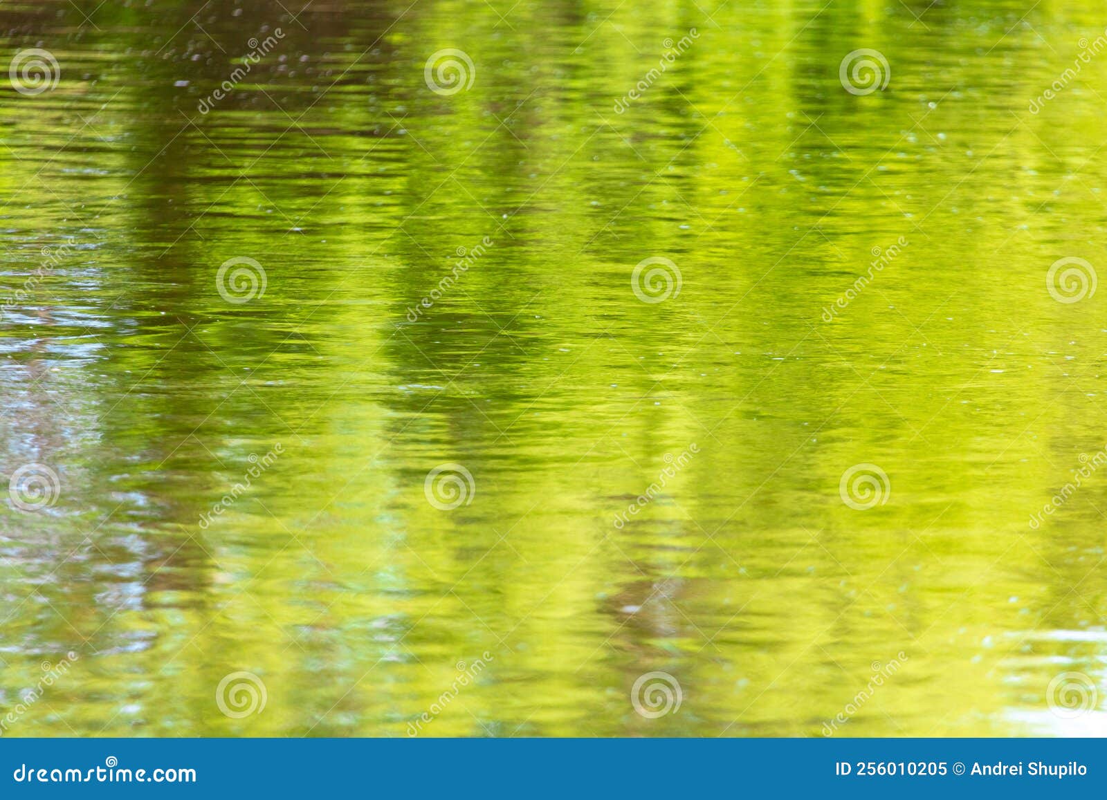 The Green Expanse of Water on the Reservoir As an Abstract Background ...