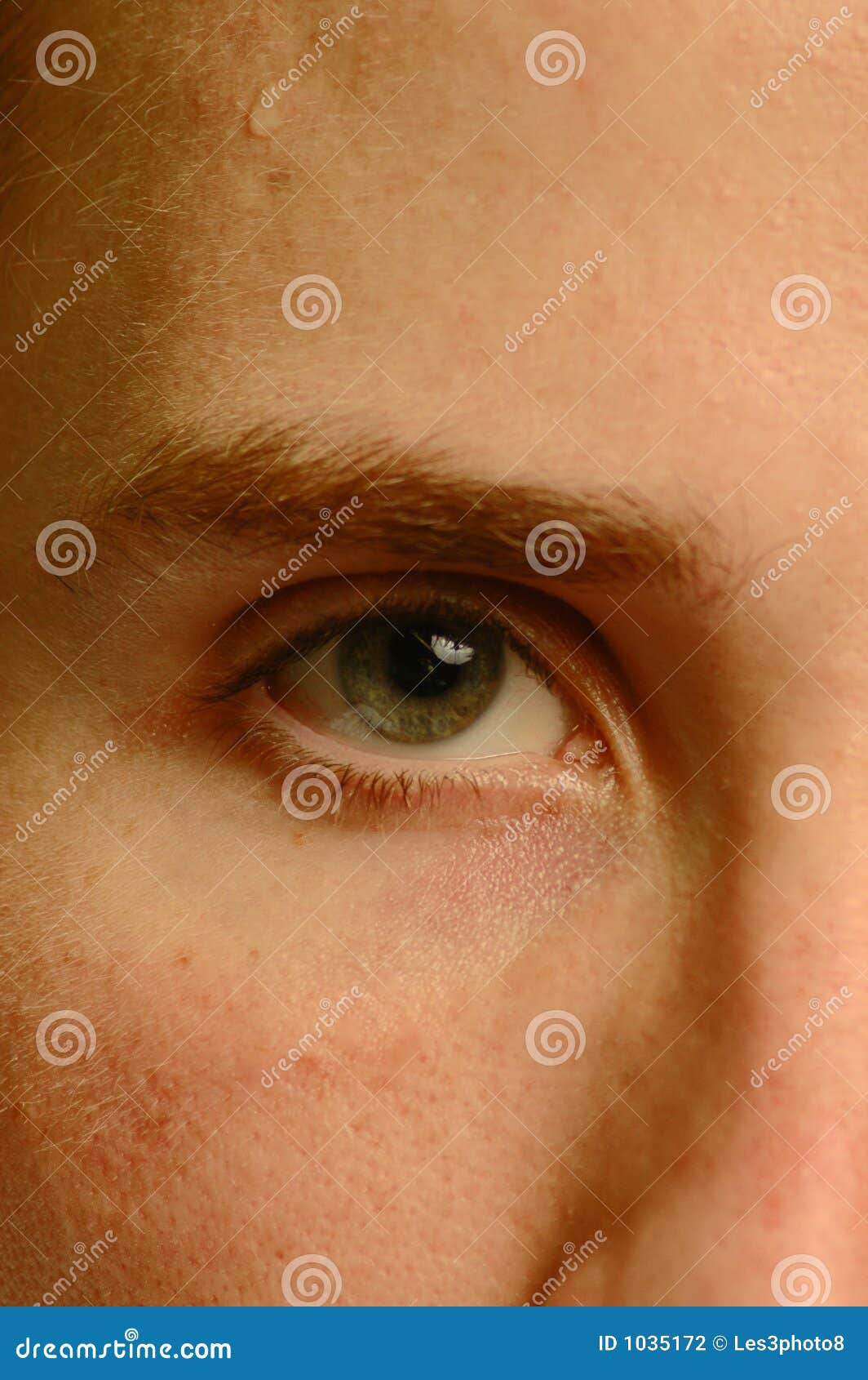 Green eye stock photo. Image of watching, glare, pupil - 1035172