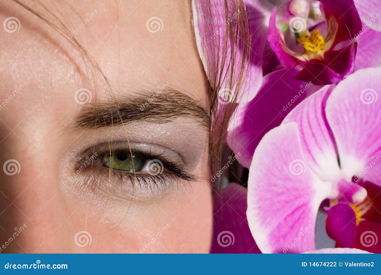 Green eye stock photo. Image of green, eyebrow, macro - 14674222