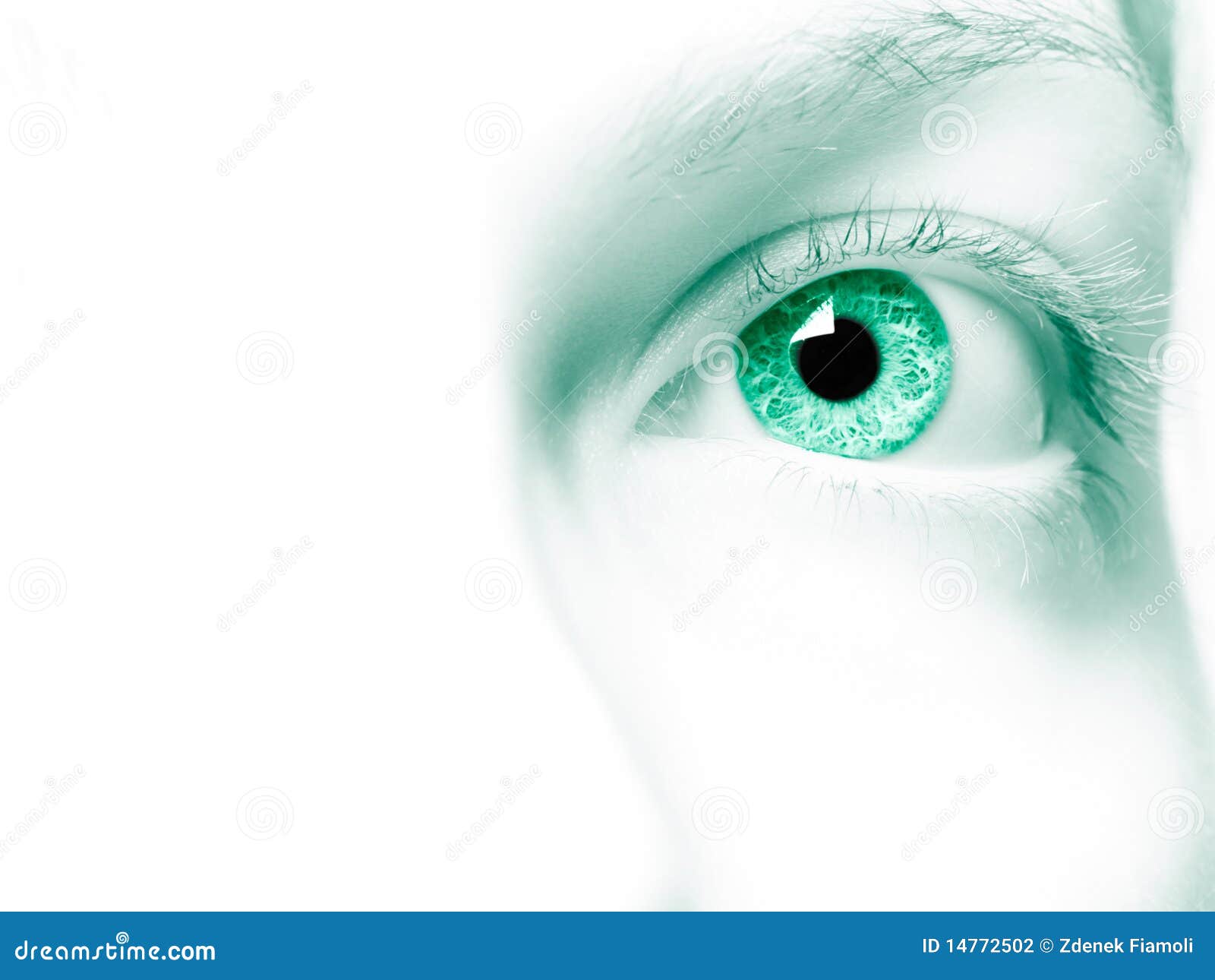 Green eye stock photo. Image of women, girl, green, eyelash - 14772502