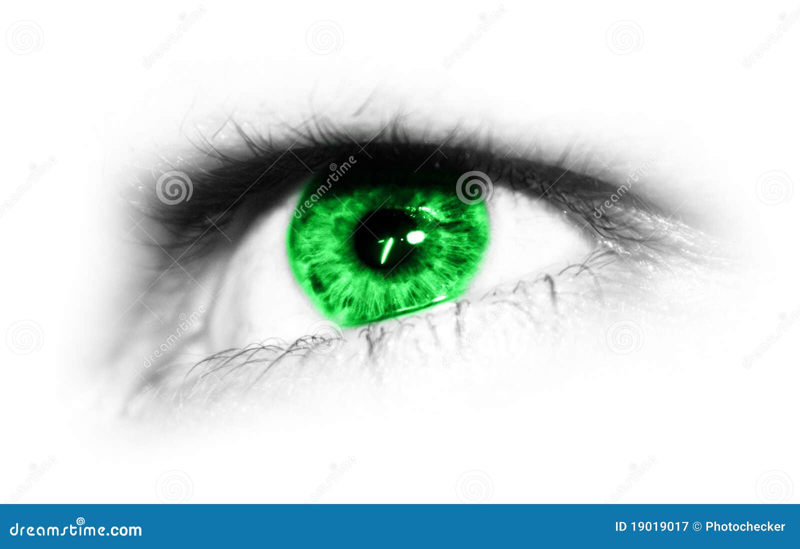 Green eye stock image. Image of eyeball, eyesight, iris - 19019017