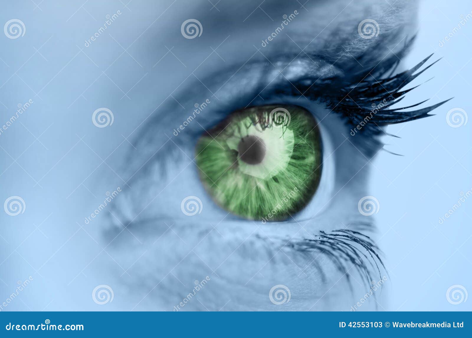 Green eye on blue face stock image. Image of young, digitally - 42553103
