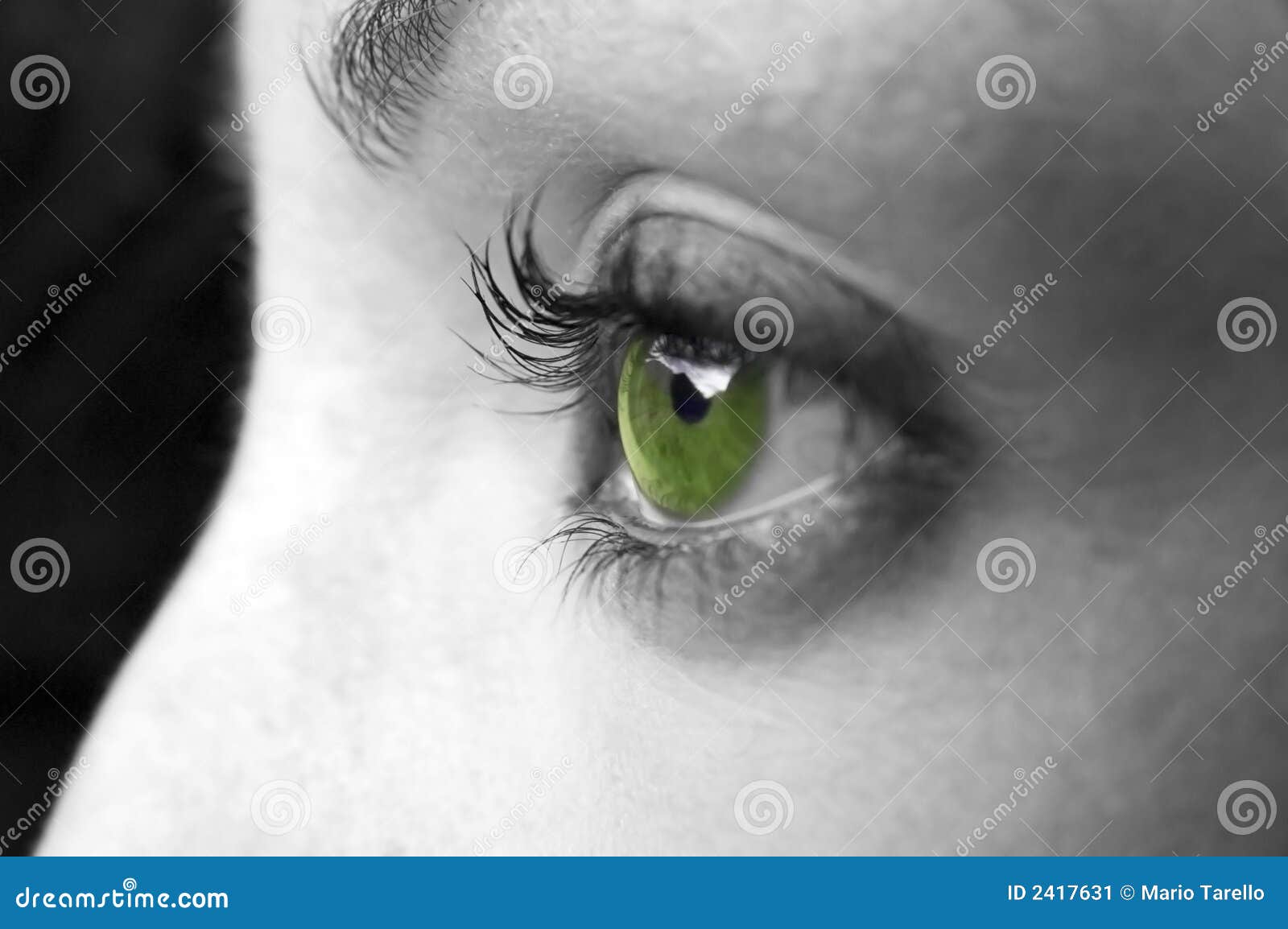 Green eye closeup stock image. Image of natural, clean - 2417631