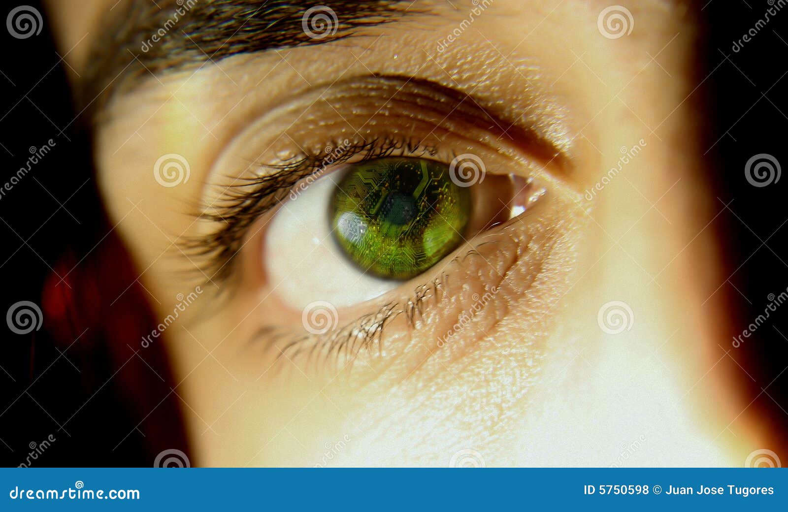 Green eye closeup stock photo. Image of person, eyelid - 5750598