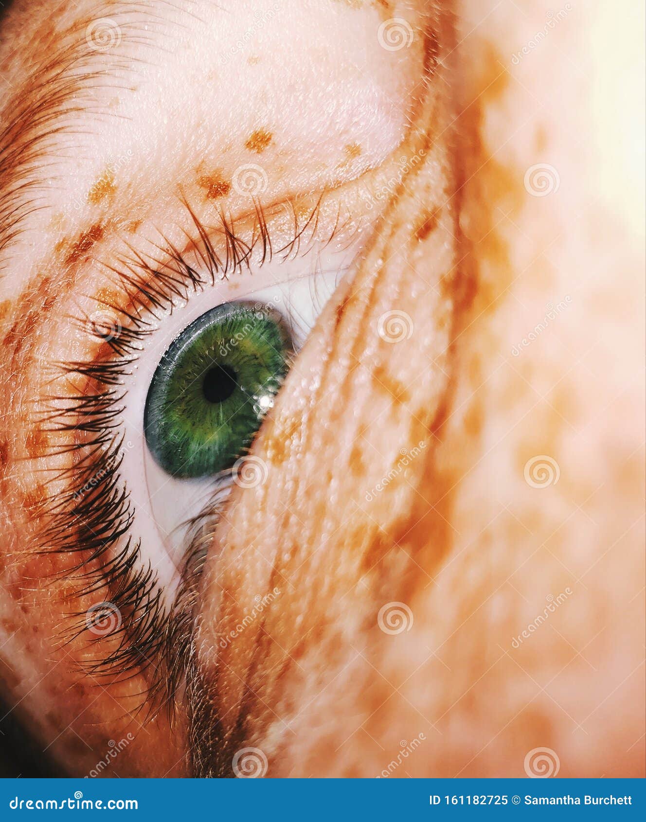 Green Eye with Long Lashes and Freckles Stock Image - Image of long ...