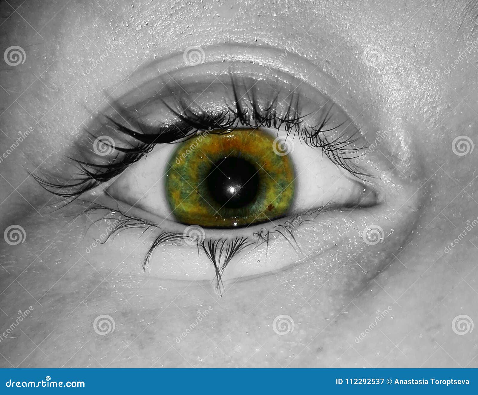 Green eye stock image. Image of face, tears, green, earth - 112292537