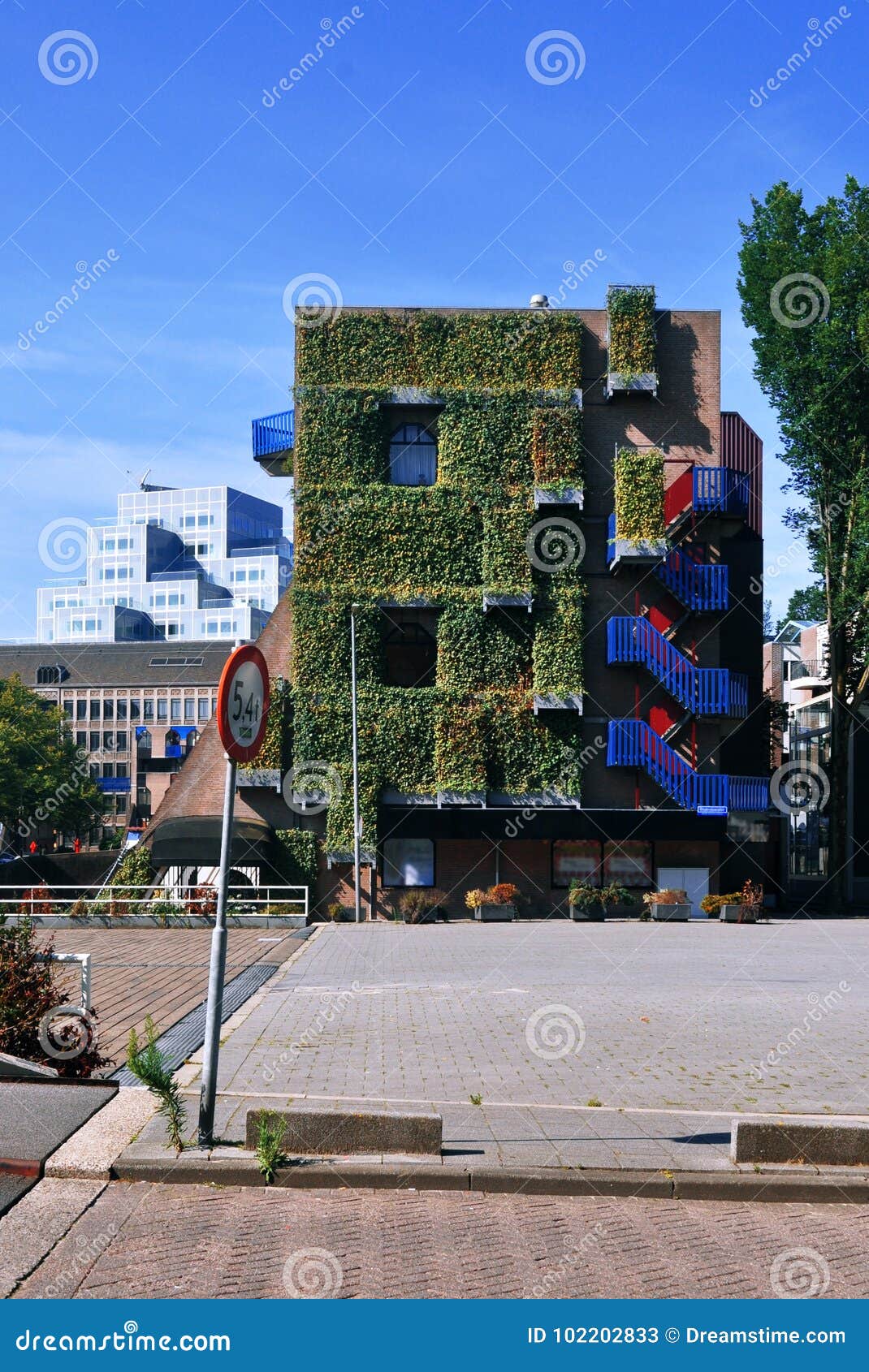 Green facade stock image. Image of green, ecological - 102202833