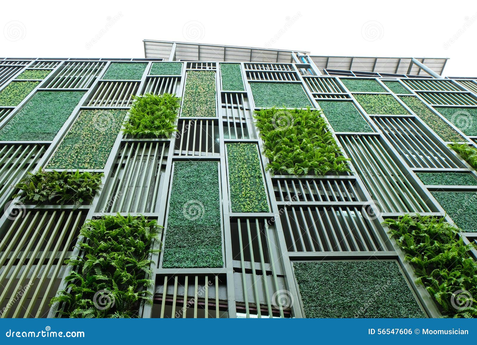 Green Facade stock photo. Image of vertical, wall, facade - 56547606