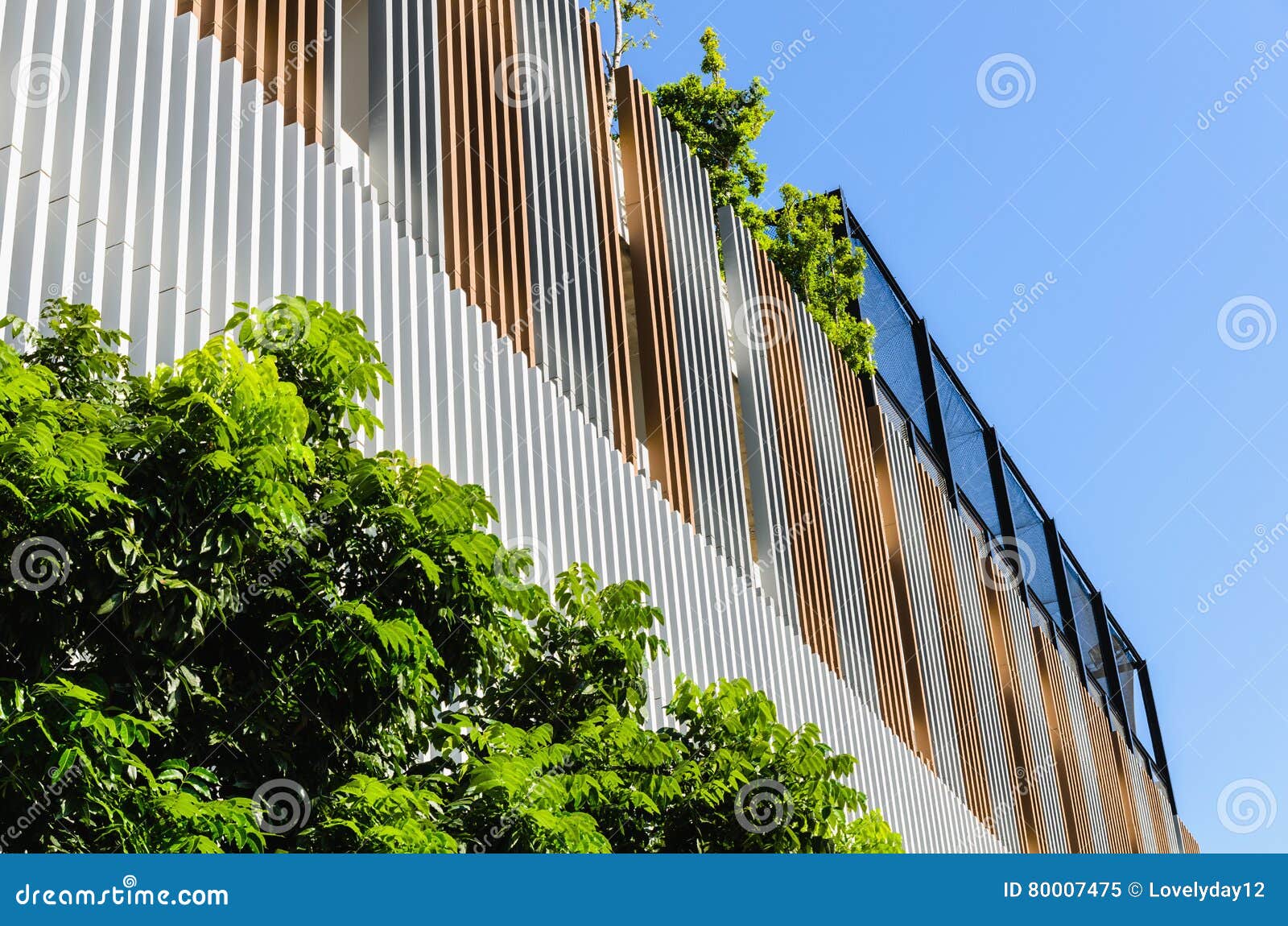 Green Facade, Vertical Garden in Architecture Stock Image - Image of ...