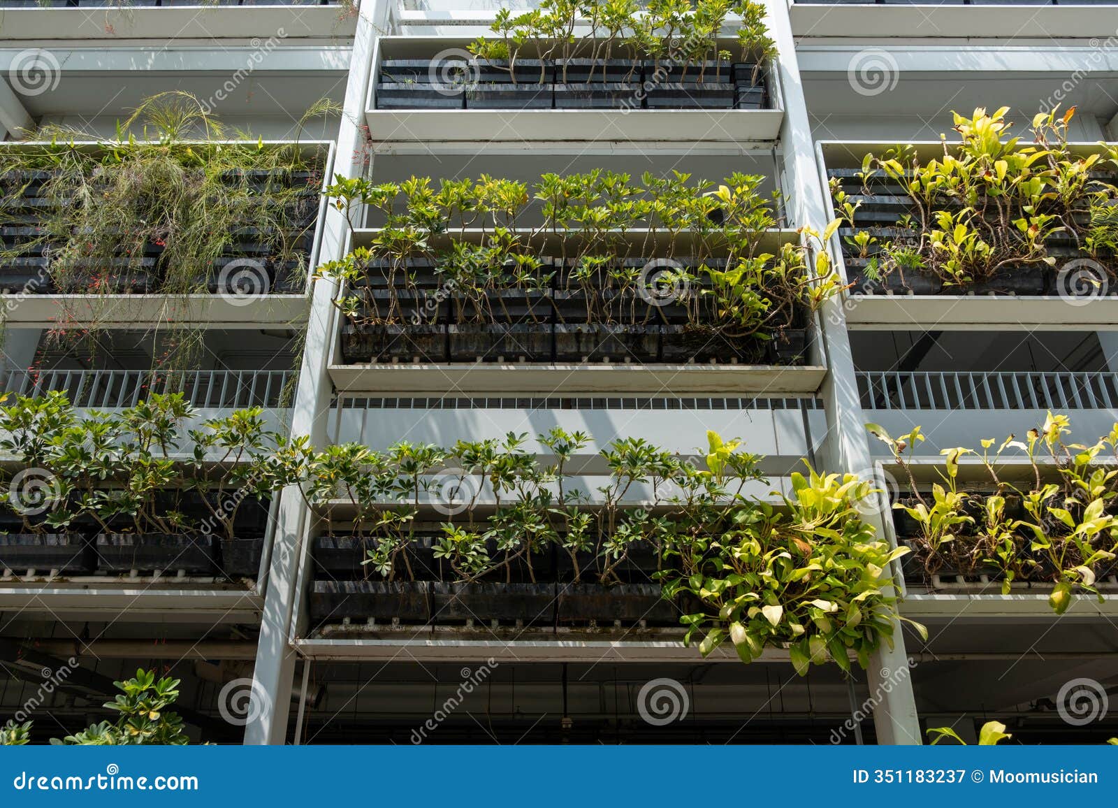Green Facade, Vertical Garden in Architecture. Ecological Building ...