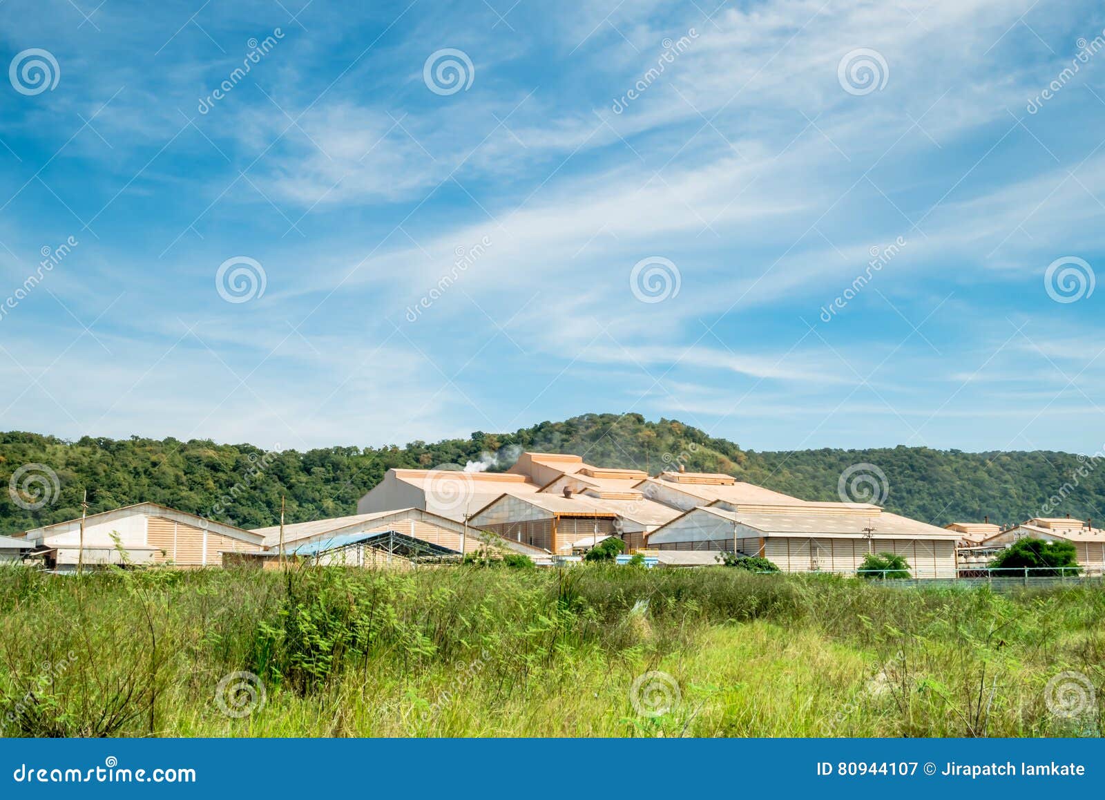 Green factory stock image. Image of feed, country, natural - 80944107