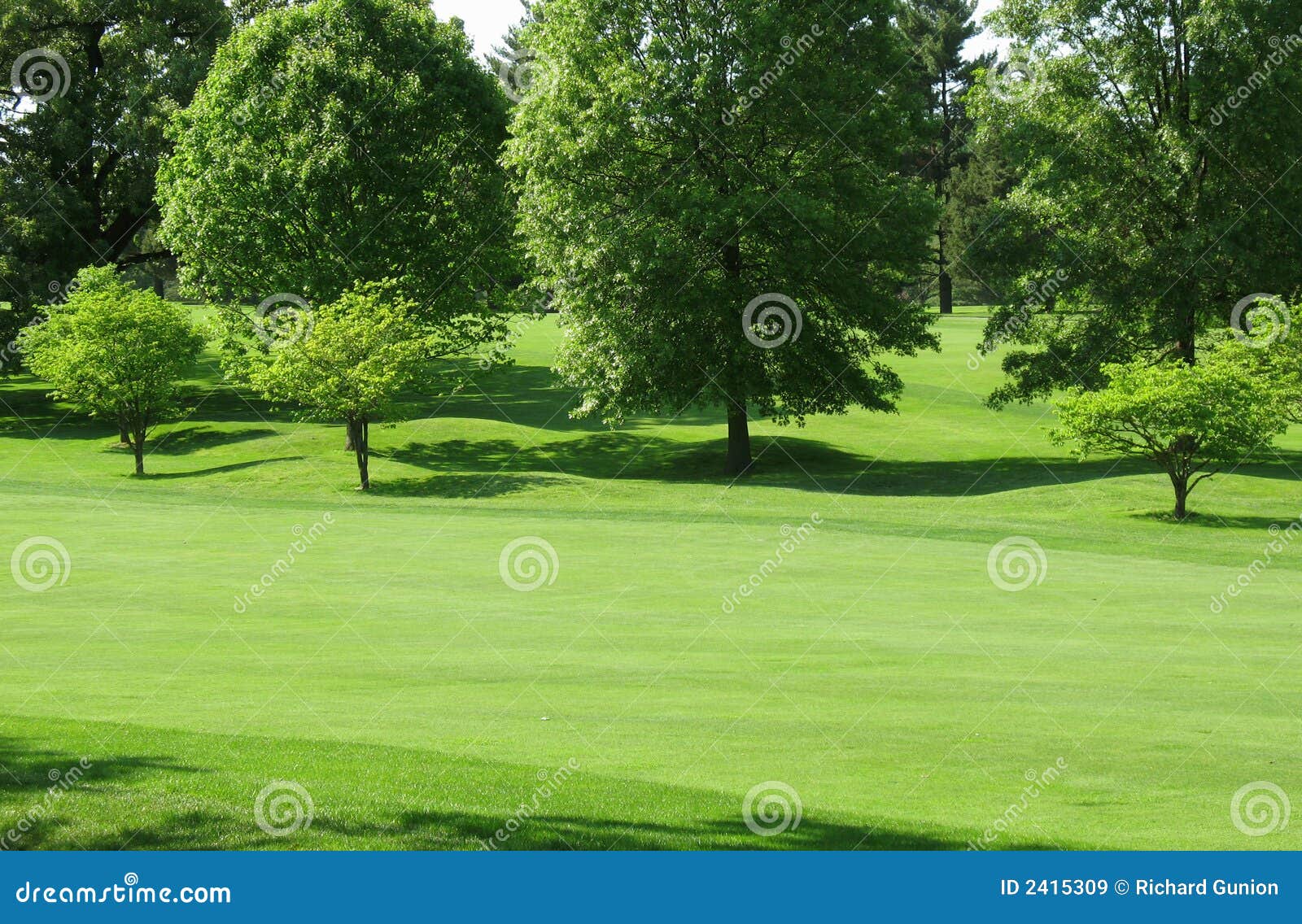 Green Fairway stock image. Image of golf, fairway, afternoon - 2415309