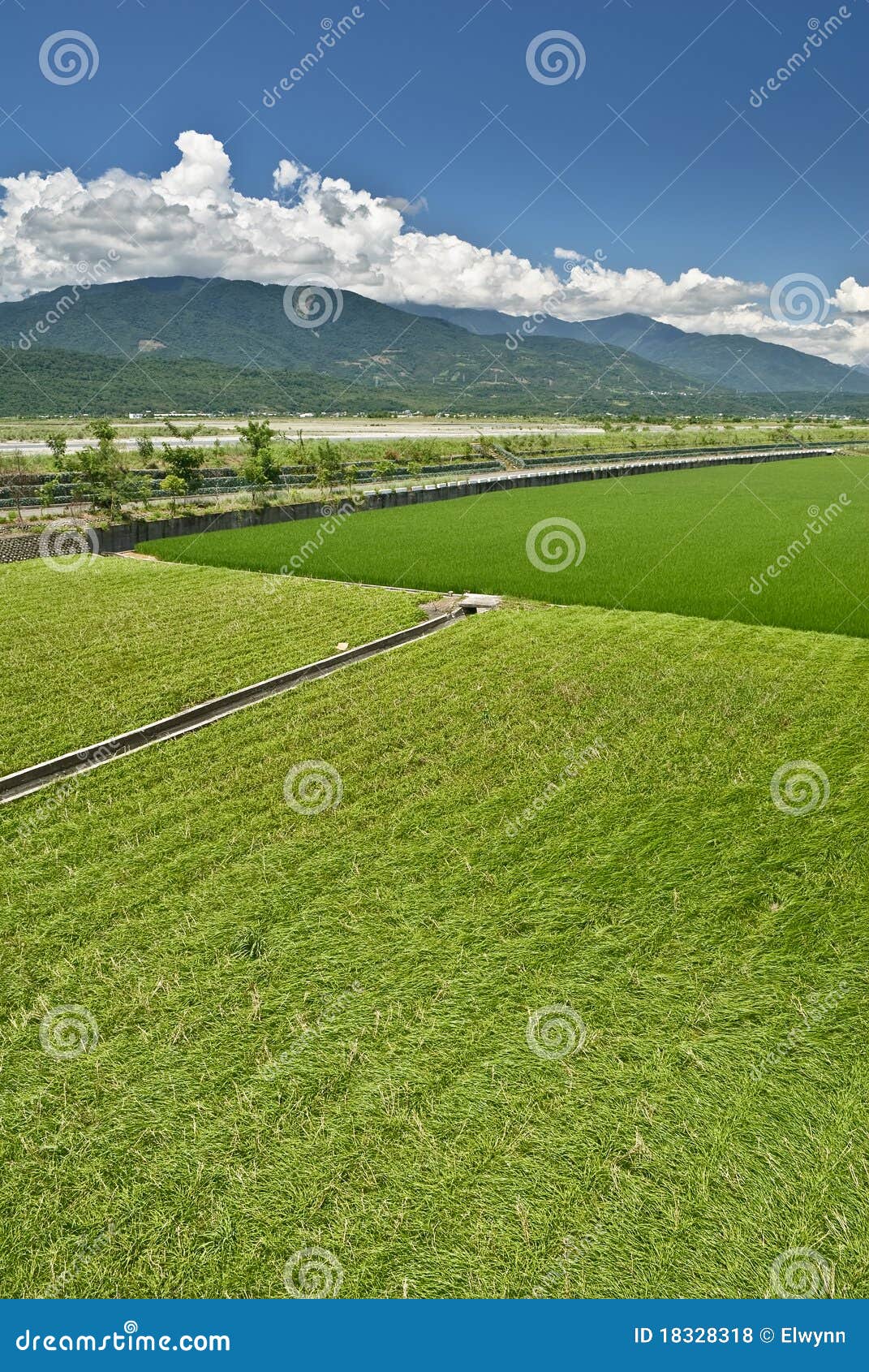 Green farm stock photo. Image of cultivation, blue, agricultural - 18328318