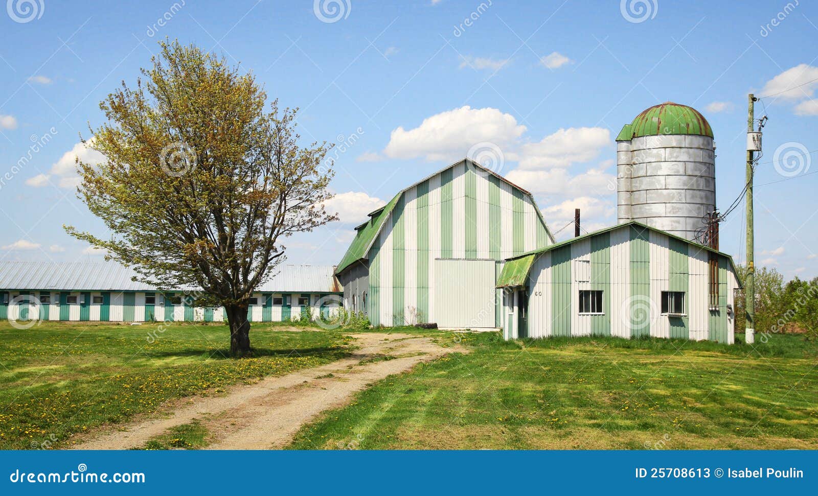 Green farm stock image. Image of scenery, outdoor, landscape - 25708613