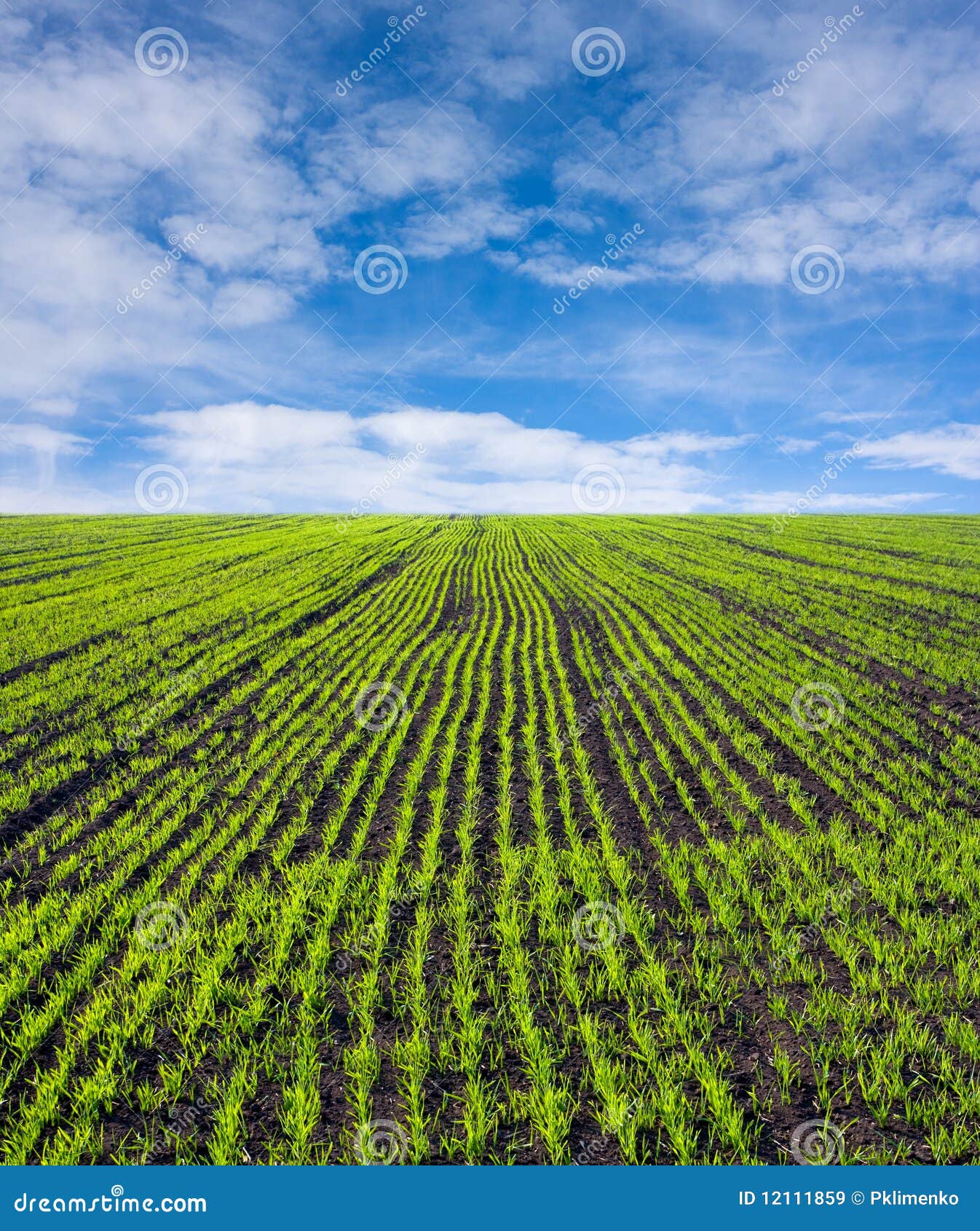 Green Farm Field Royalty Free Stock Images - Image: 12111859