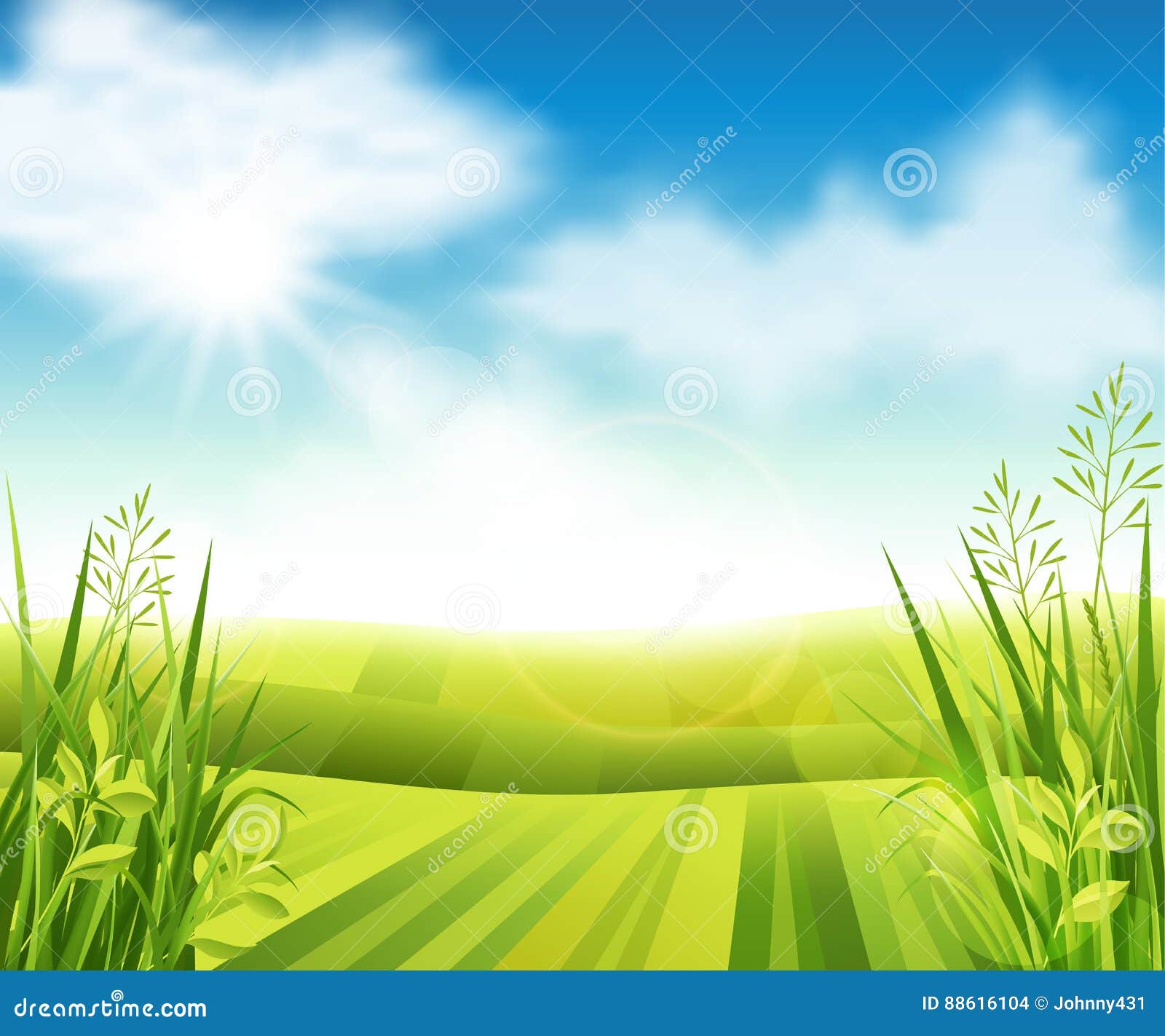 Green farm field stock vector. Illustration of herbage - 88616104