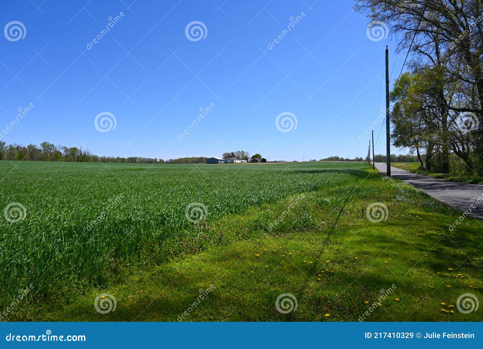 Green Farm Fields stock image. Image of blue, farm, isolated - 217410329