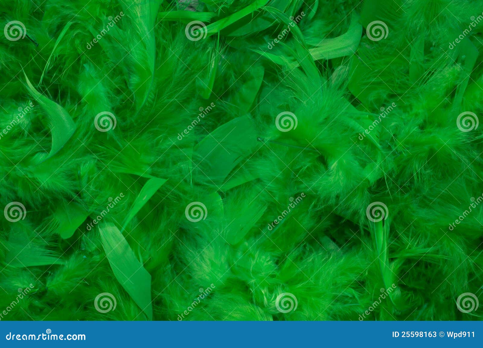 Green Feathers stock image. Image of feathered, chicken - 25598163