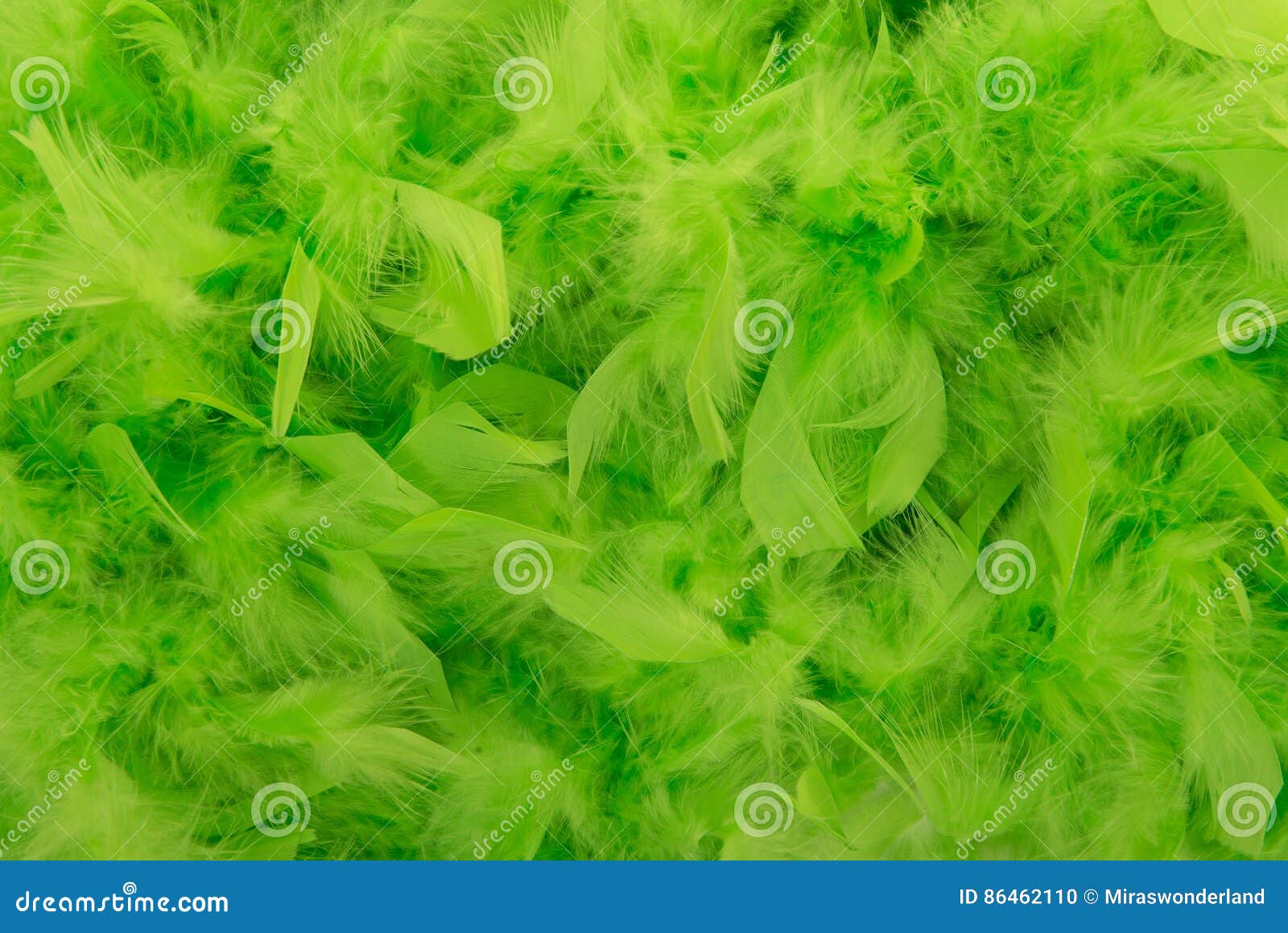 Green feathers from a boa stock photo. Image of gentle - 86462110