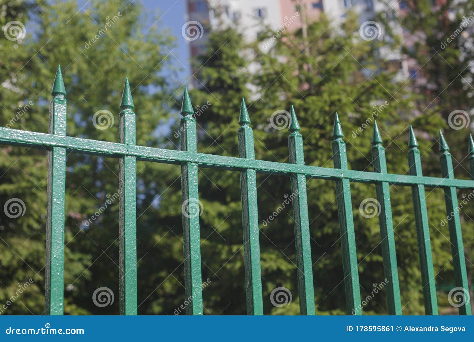 Green Fence with Steeples and Green Trees on Background in Spring Day ...