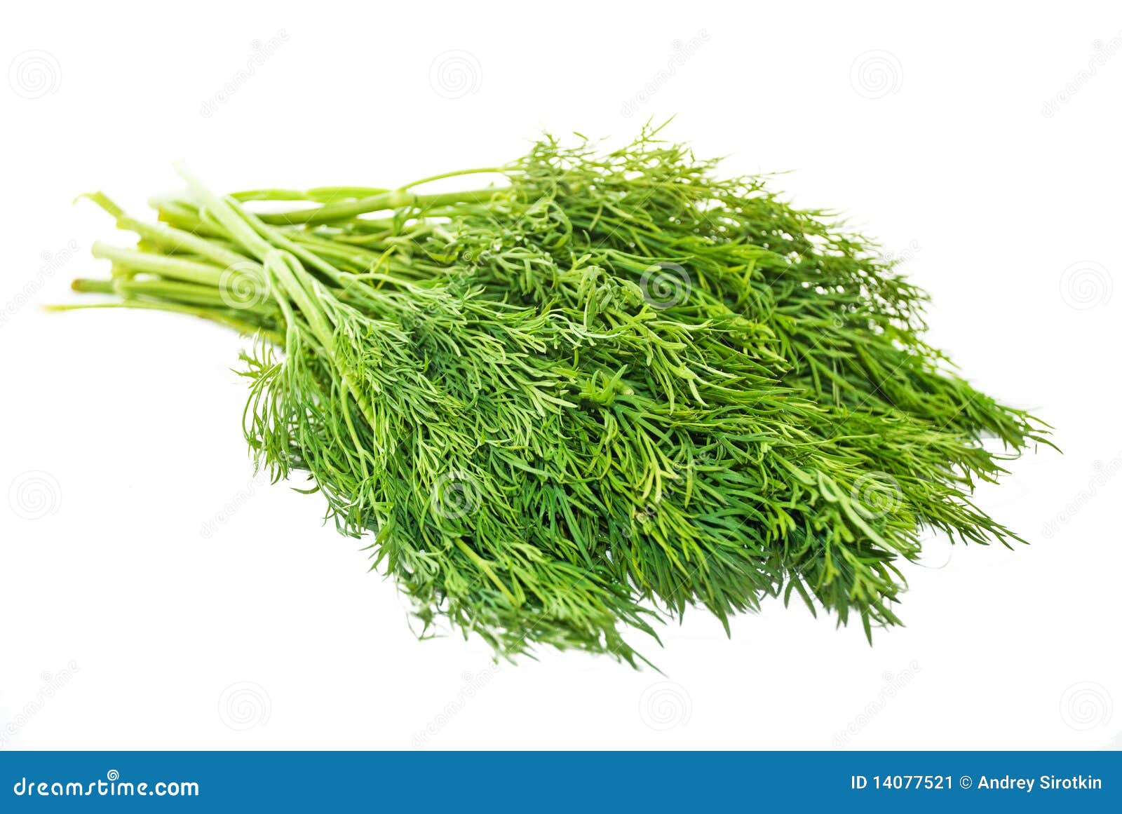 Green fenne stock image. Image of fresh, greens, peeping - 14077521