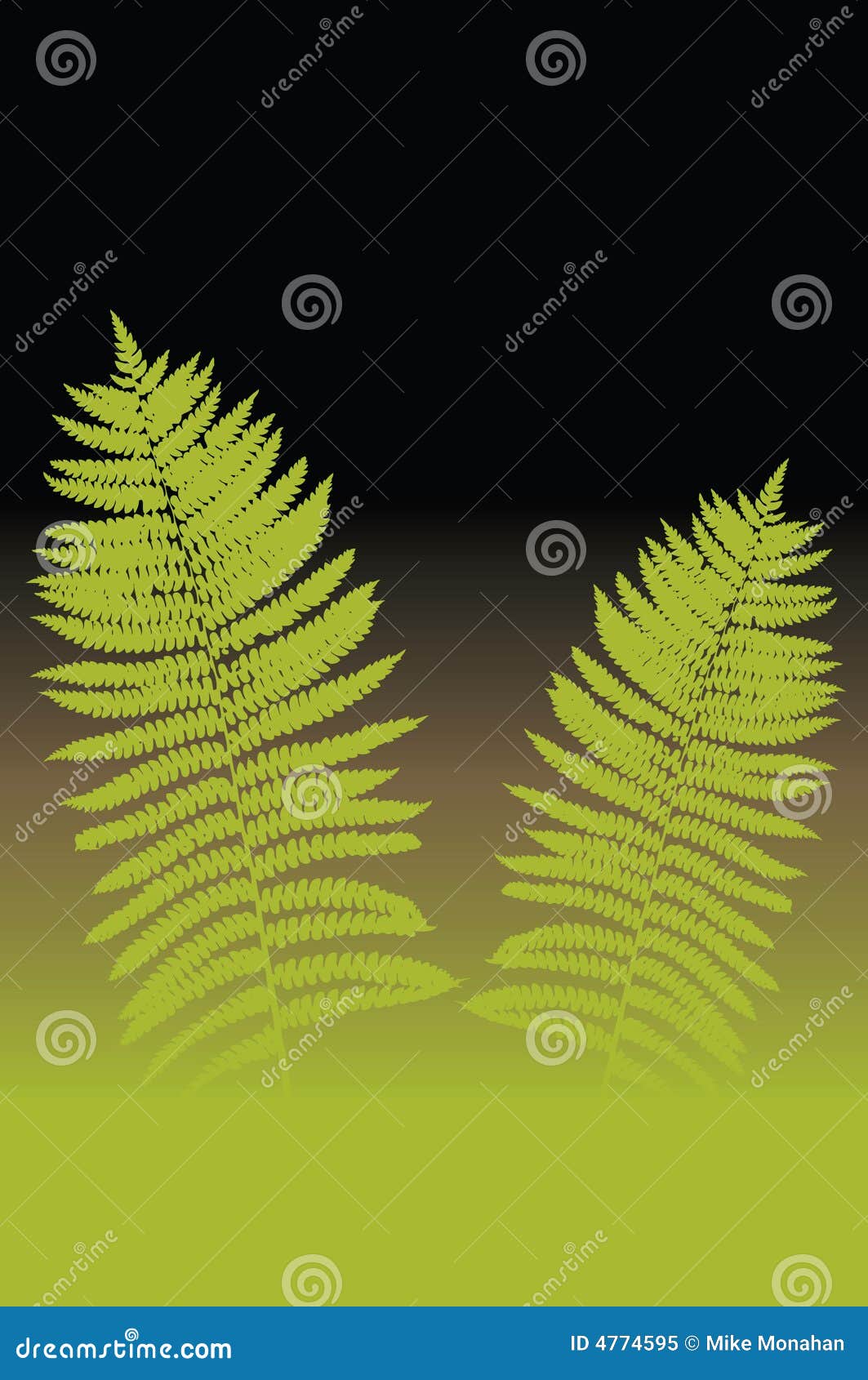 Green fern background stock vector. Illustration of plants - 4774595