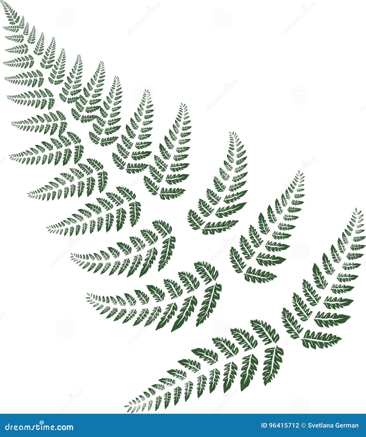 Green Fern Leaves on White Background Stock Vector - Illustration of ...