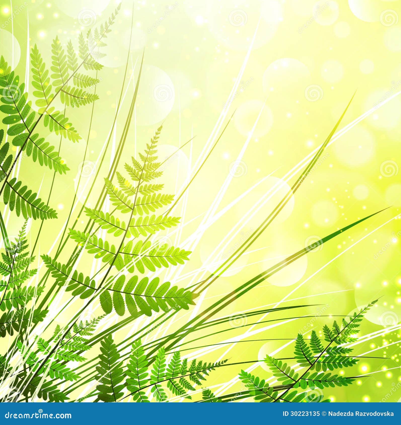 Fern Background stock vector. Illustration of spring - 30223135