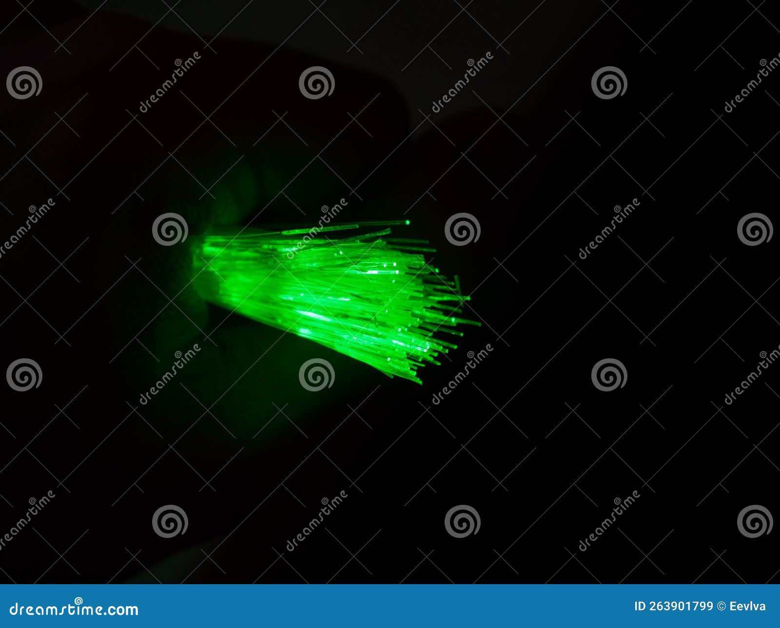 Green fiber optic in hand. stock image. Image of macro - 263901799